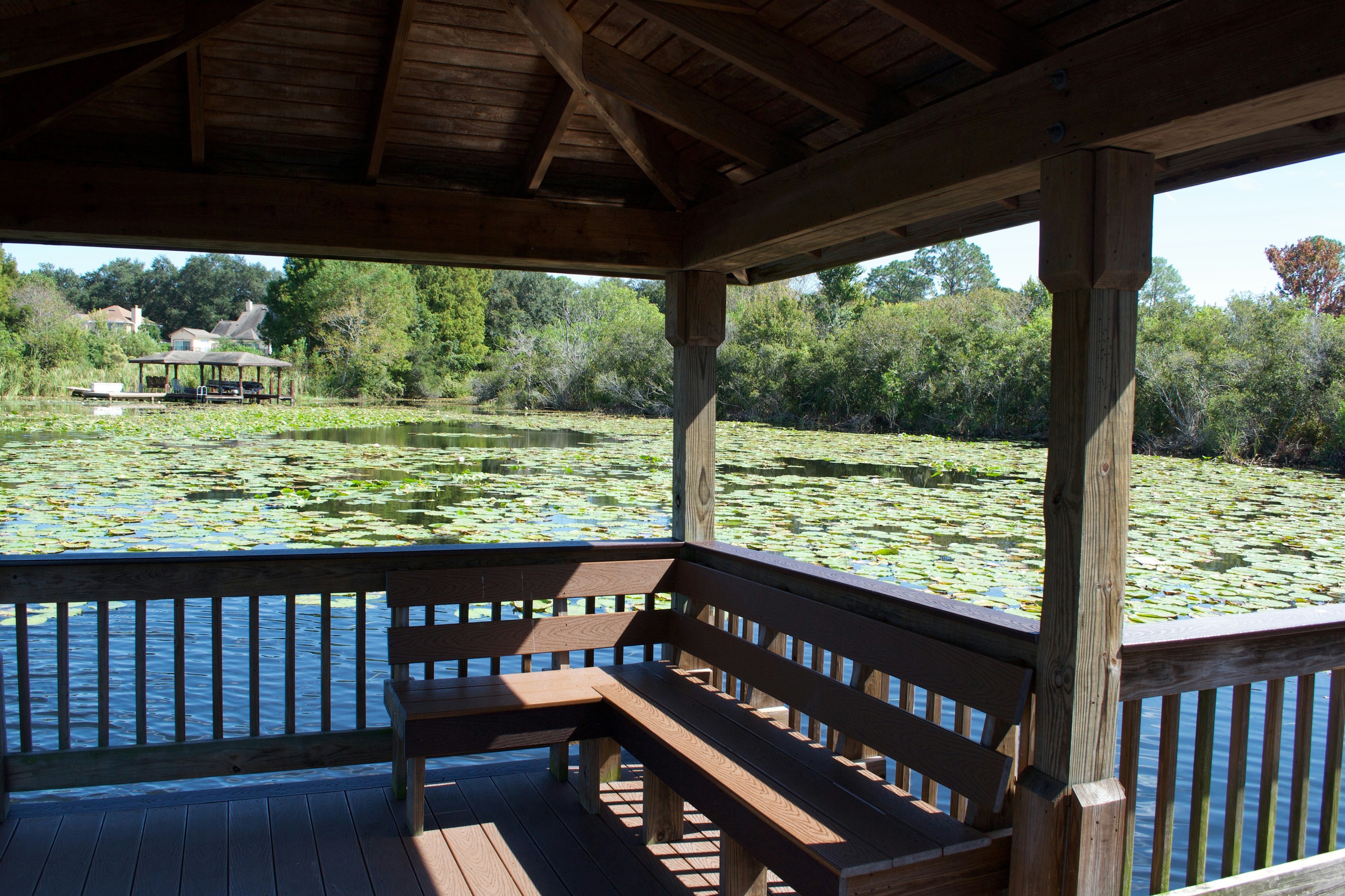 Sunlit Lakeside Shelter Overlooking a Quiet Lily-Covered Pond
