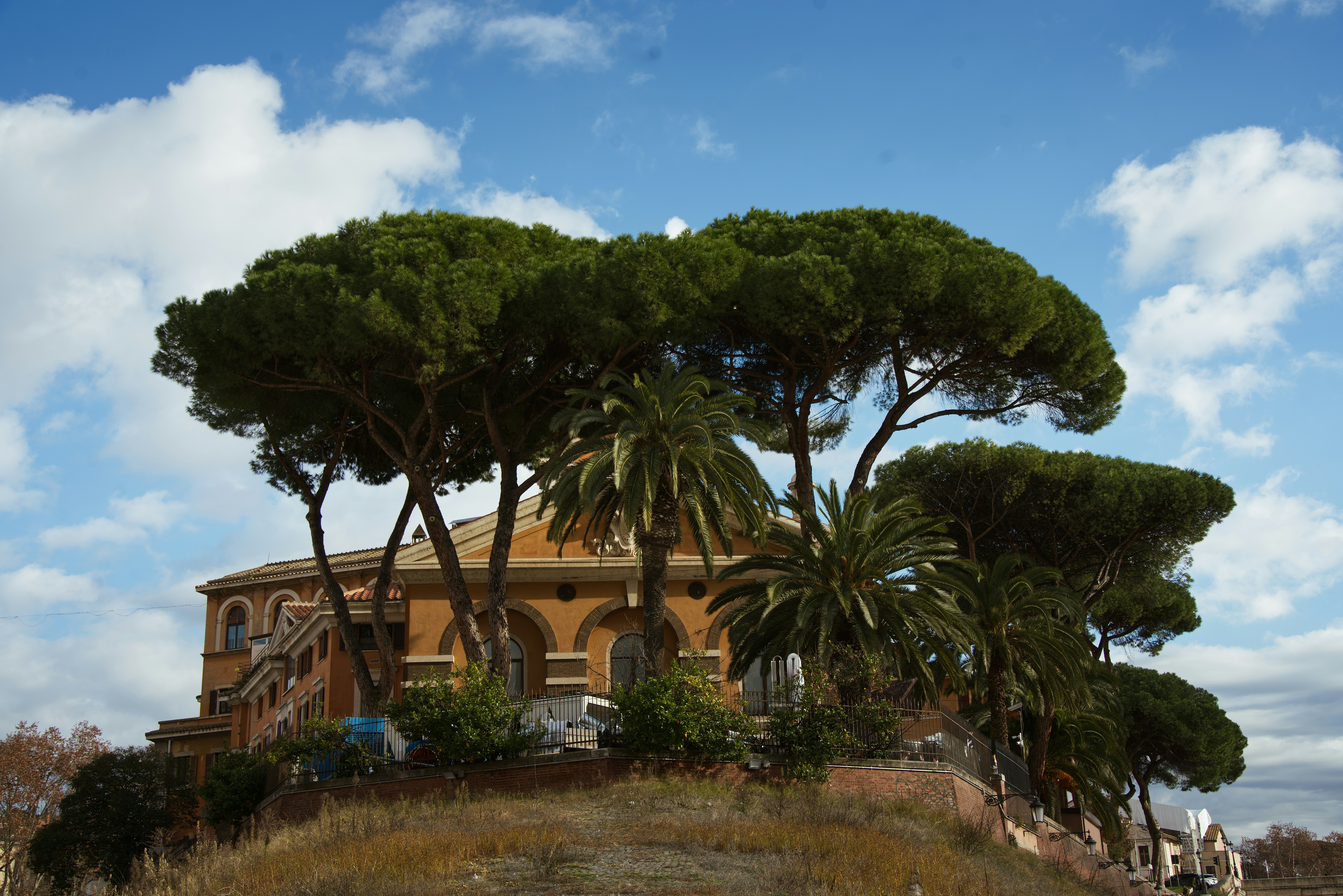 Edificio rodeado de pinos y palmeras bajo el cielo. foto – Imagen de ...
