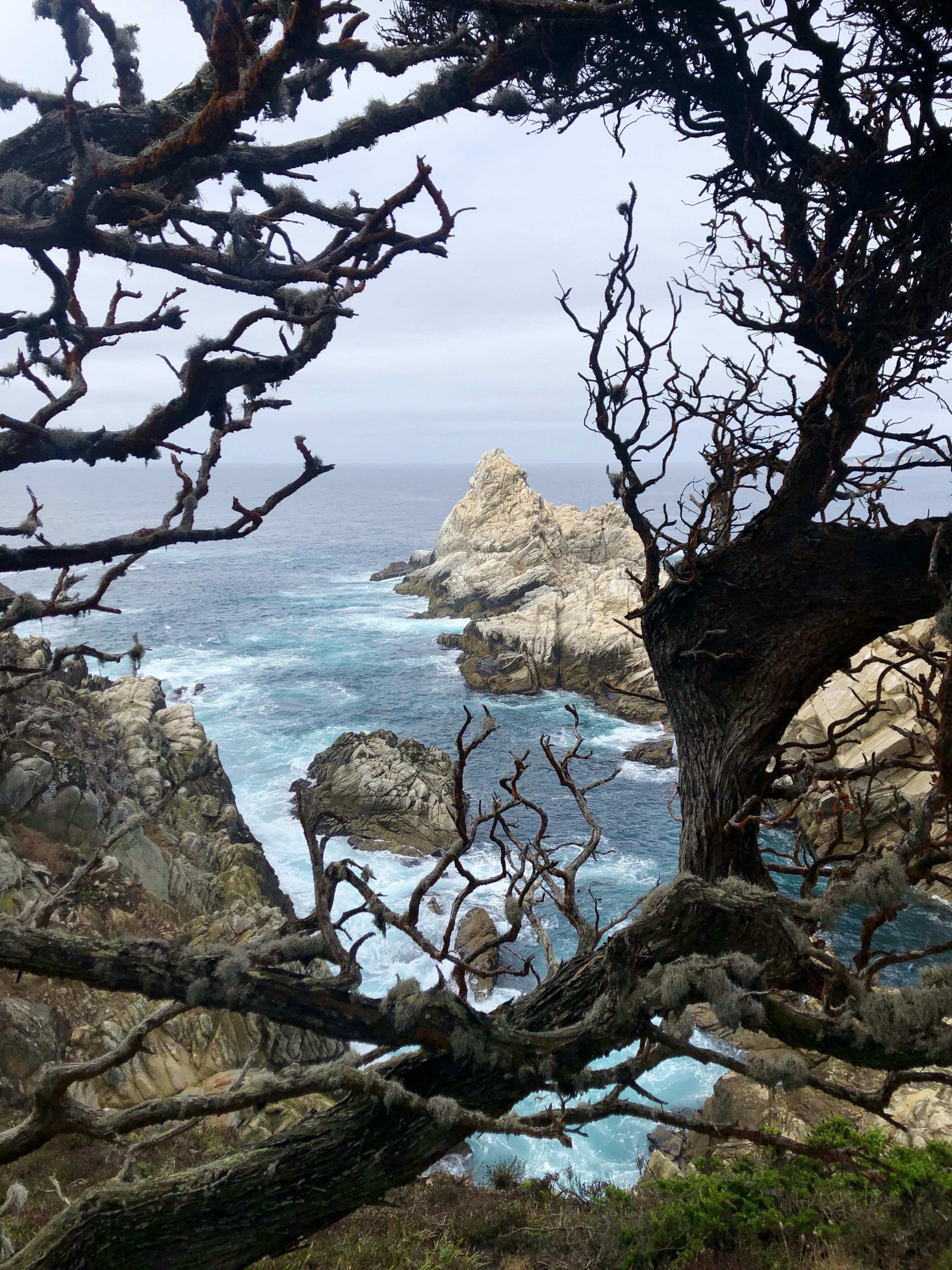 Margaret Lu (@mlu1234) | Komunitas Foto Unsplash