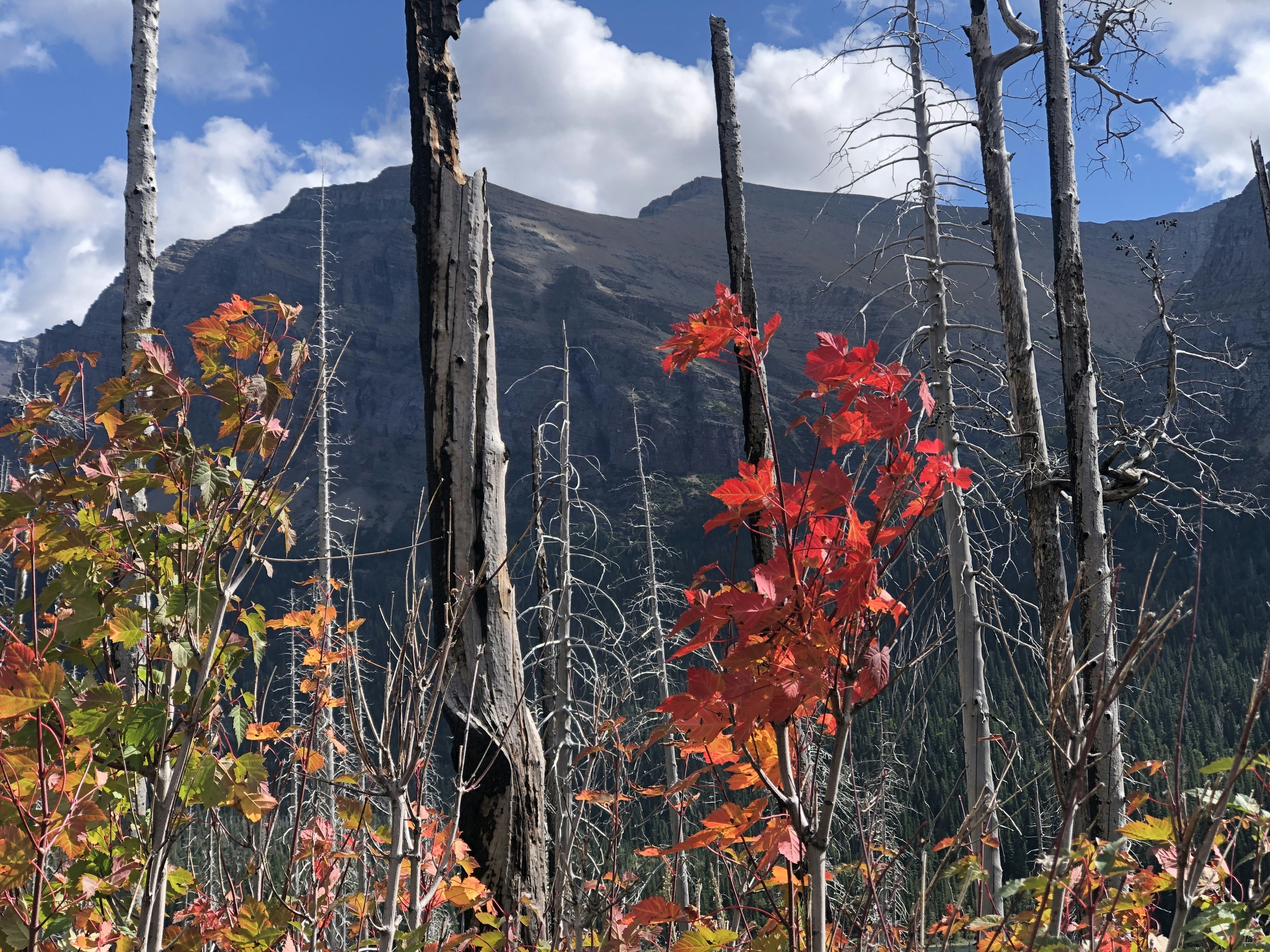 Margaret Lu (@mlu1234) | Komunitas Foto Unsplash