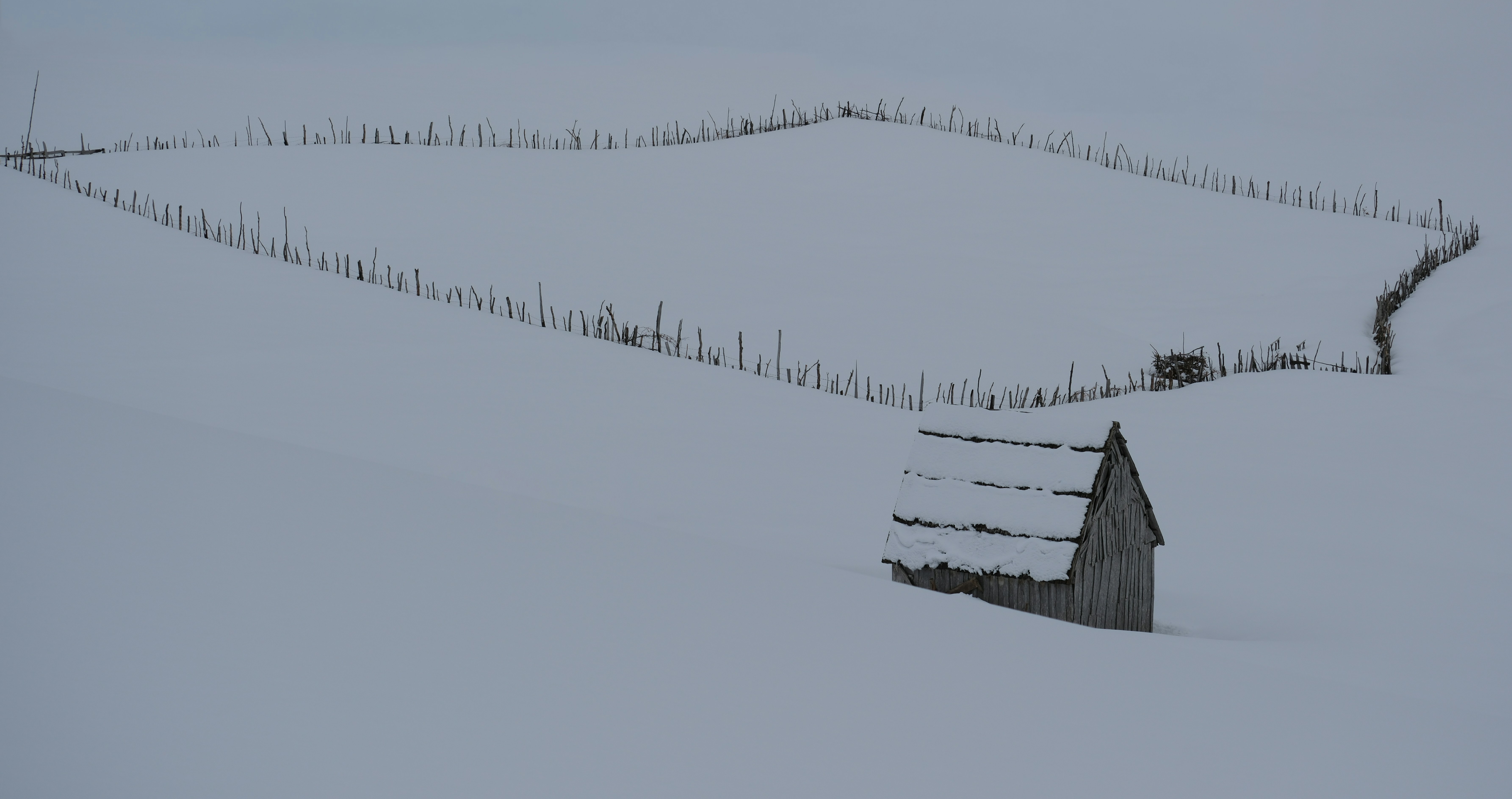 Winter Shack Amid Serene Snowdrift Lines