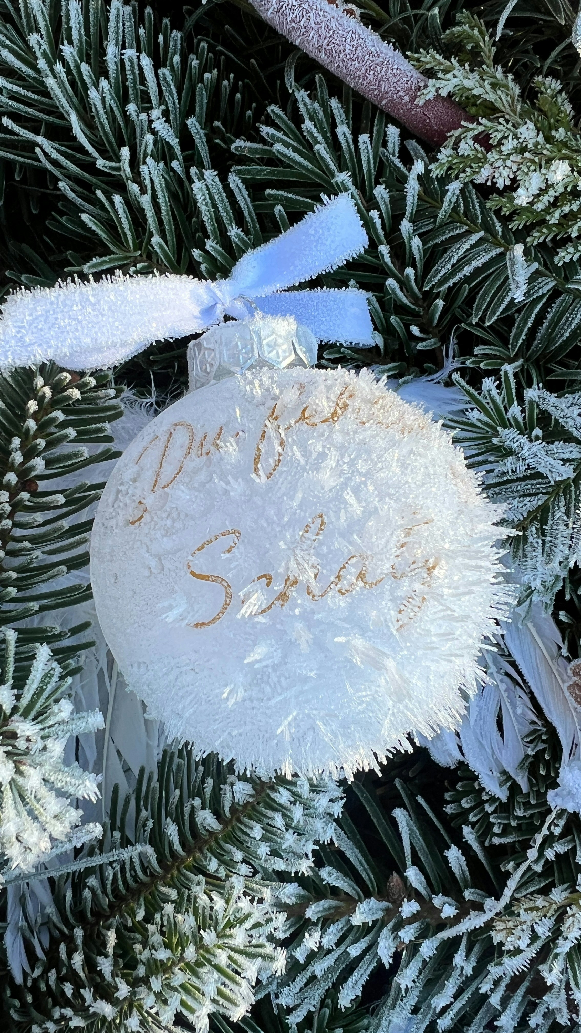Frosted Ornament Hidden in a Pine Dawn