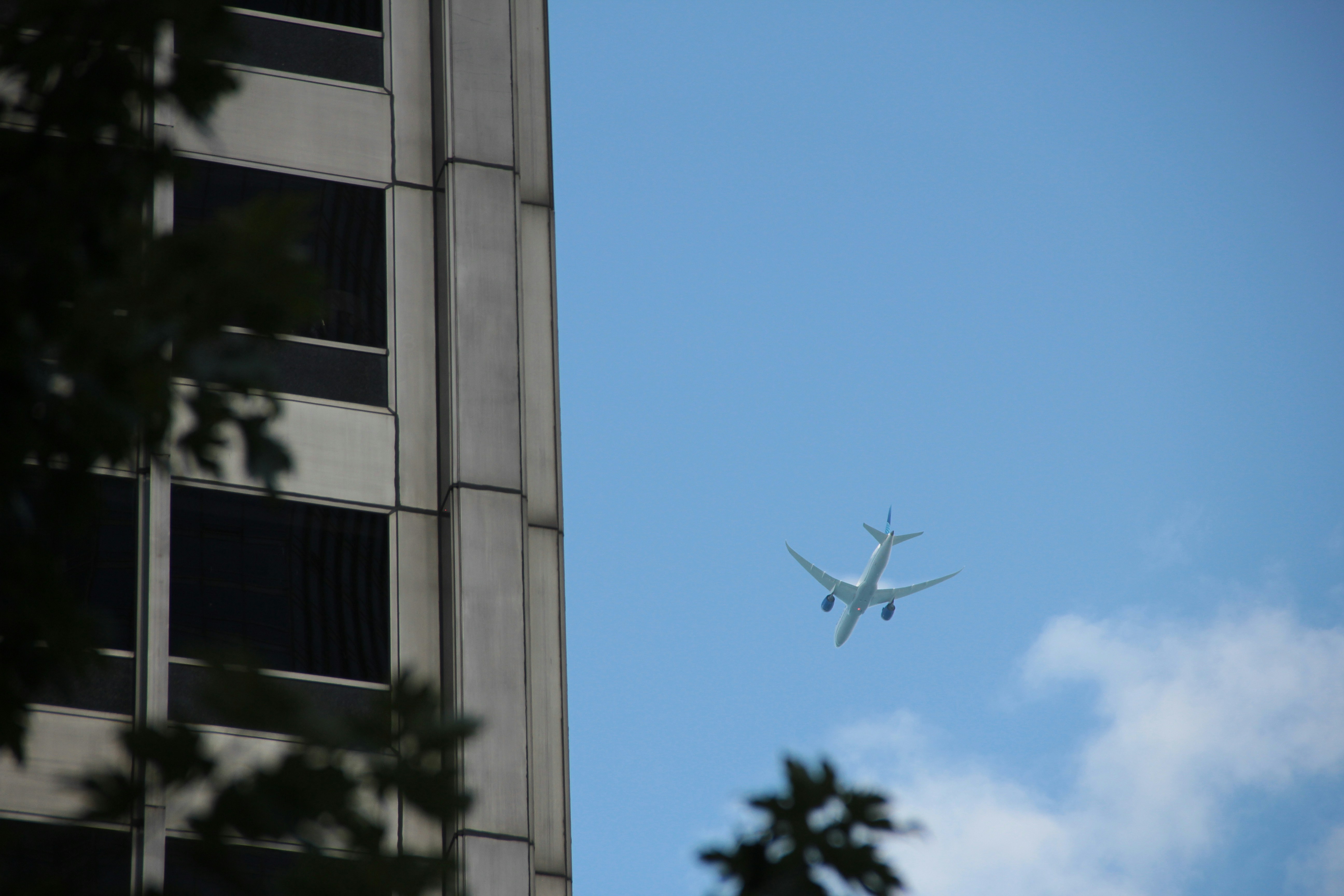 Jetliner Over the City: A Flight Path Against Concrete Lines