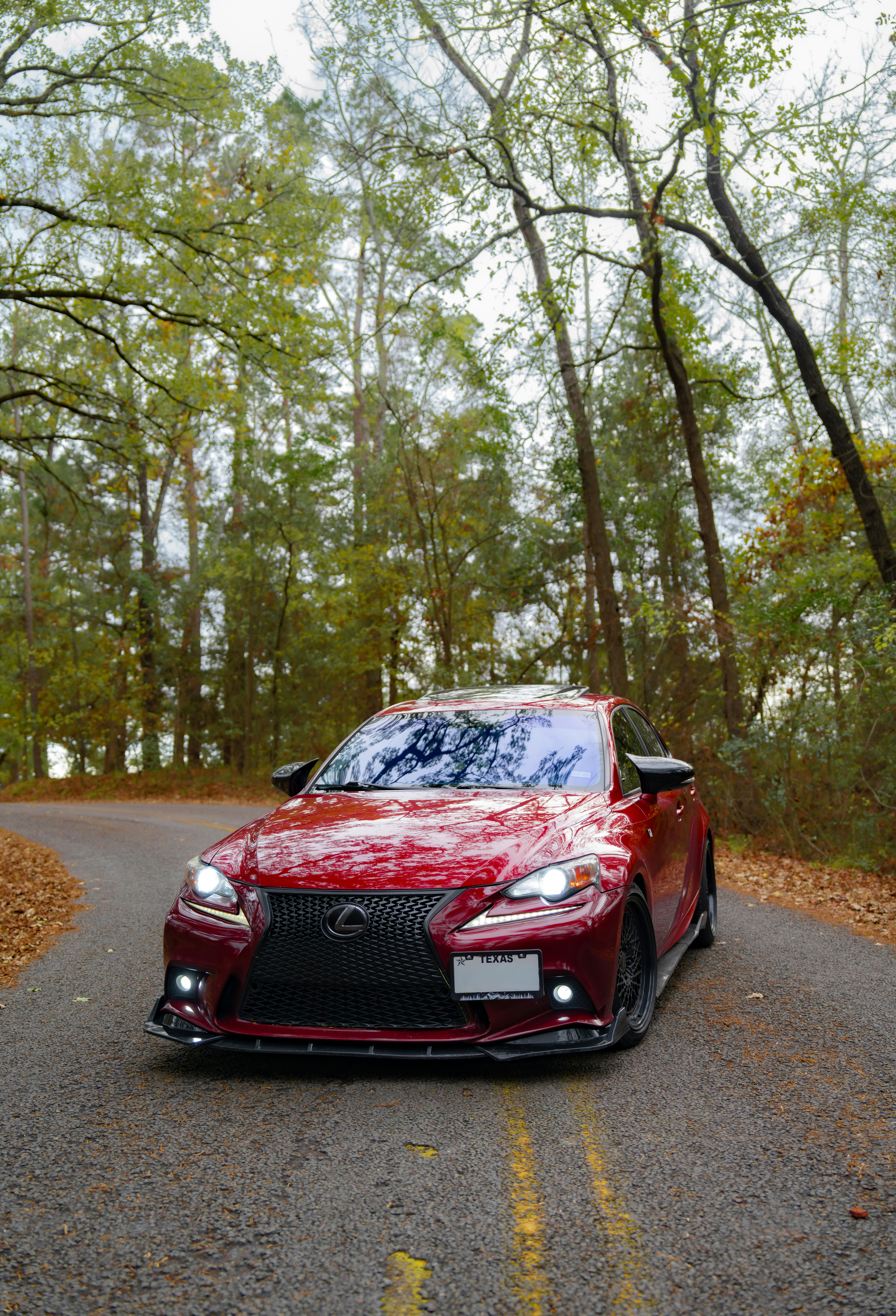 Crimson Lexus on a Quiet Autumn Bend