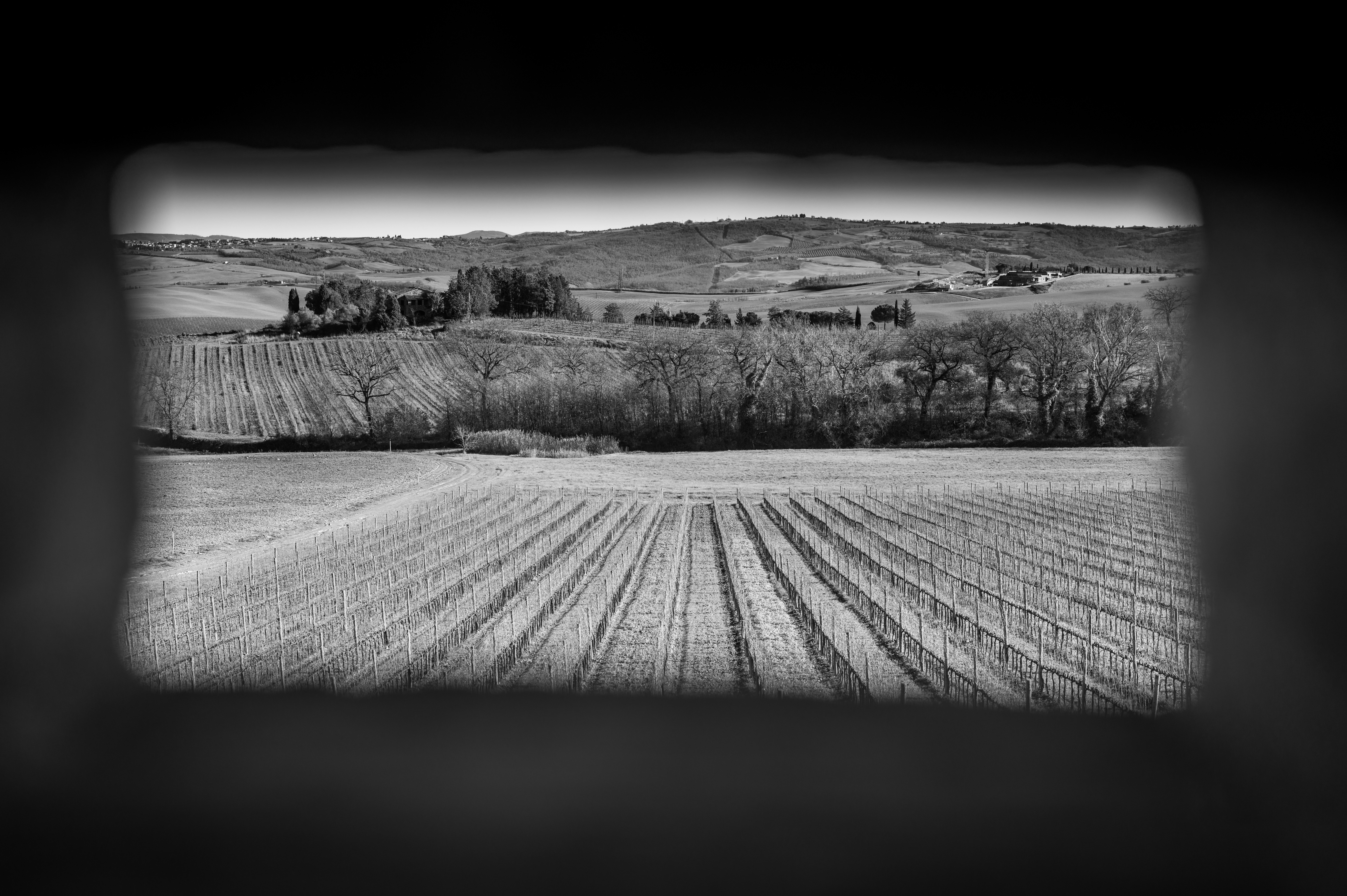 Photo by Giuseppe Argenziano with Leica Q3 43