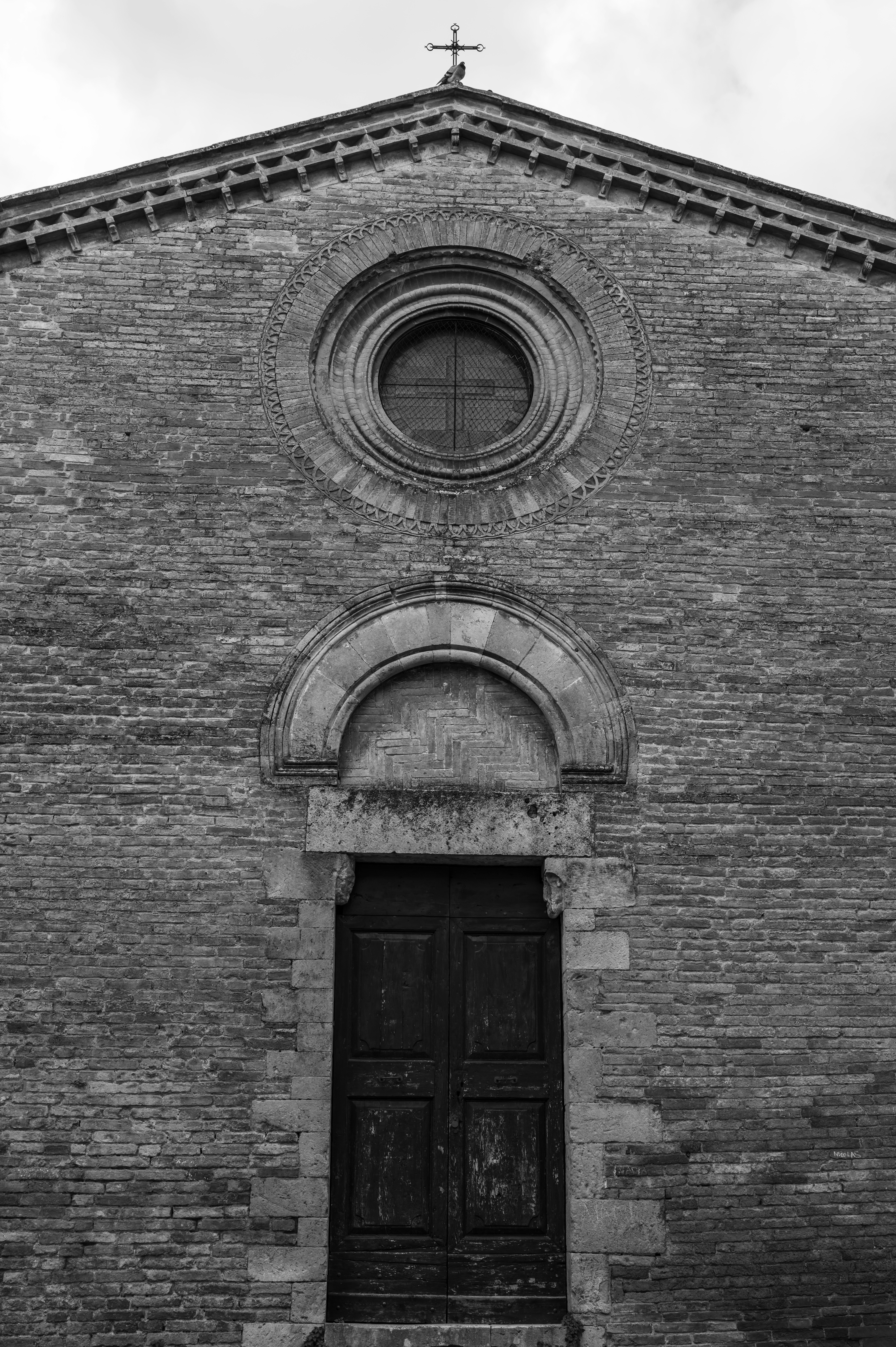 Photo by Giuseppe Argenziano with Leica Q3 43