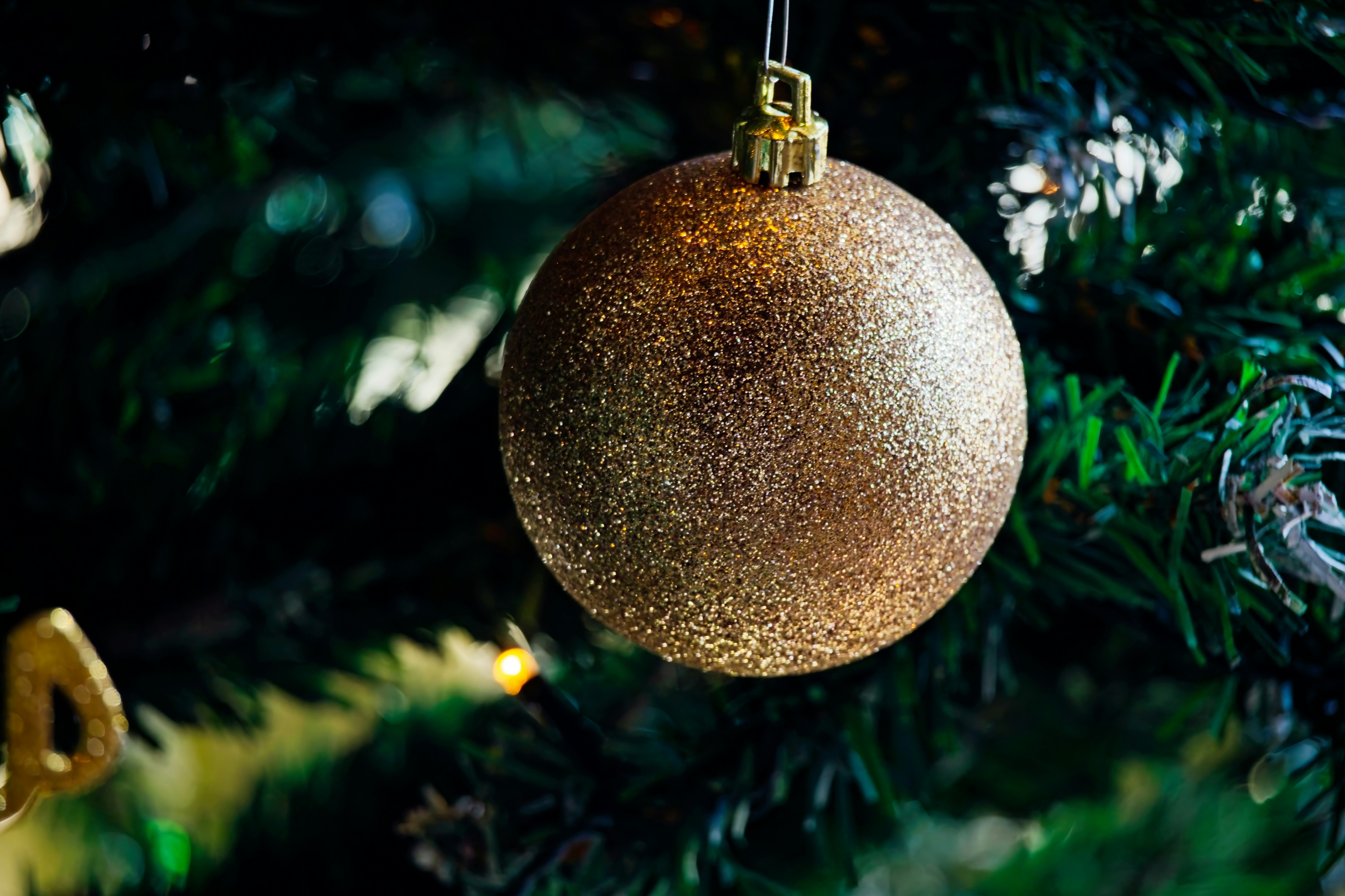 Gold Ornament on a Branch: A Quiet Holiday Moment