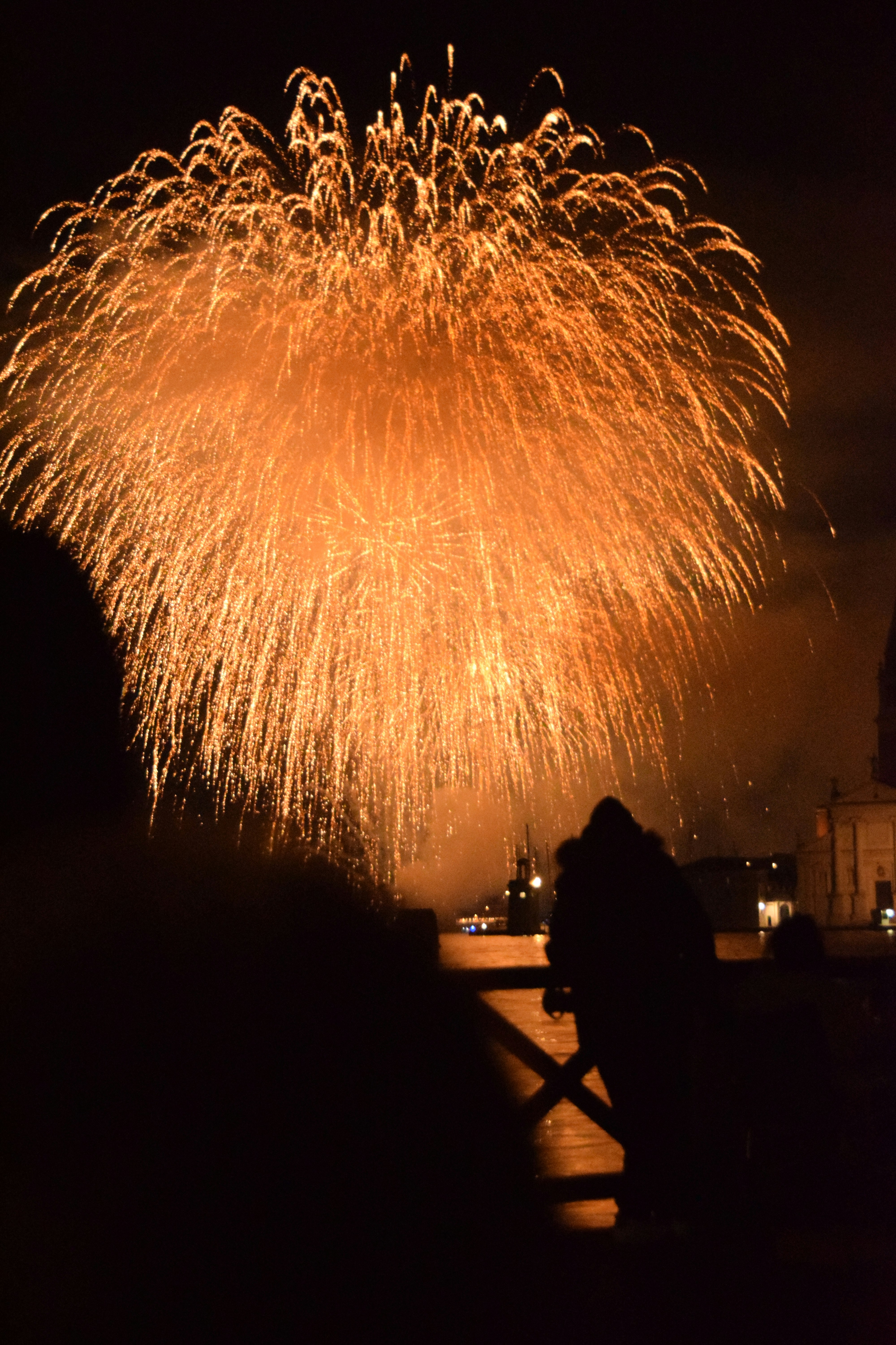 Night Skyburst over Distant Promenade