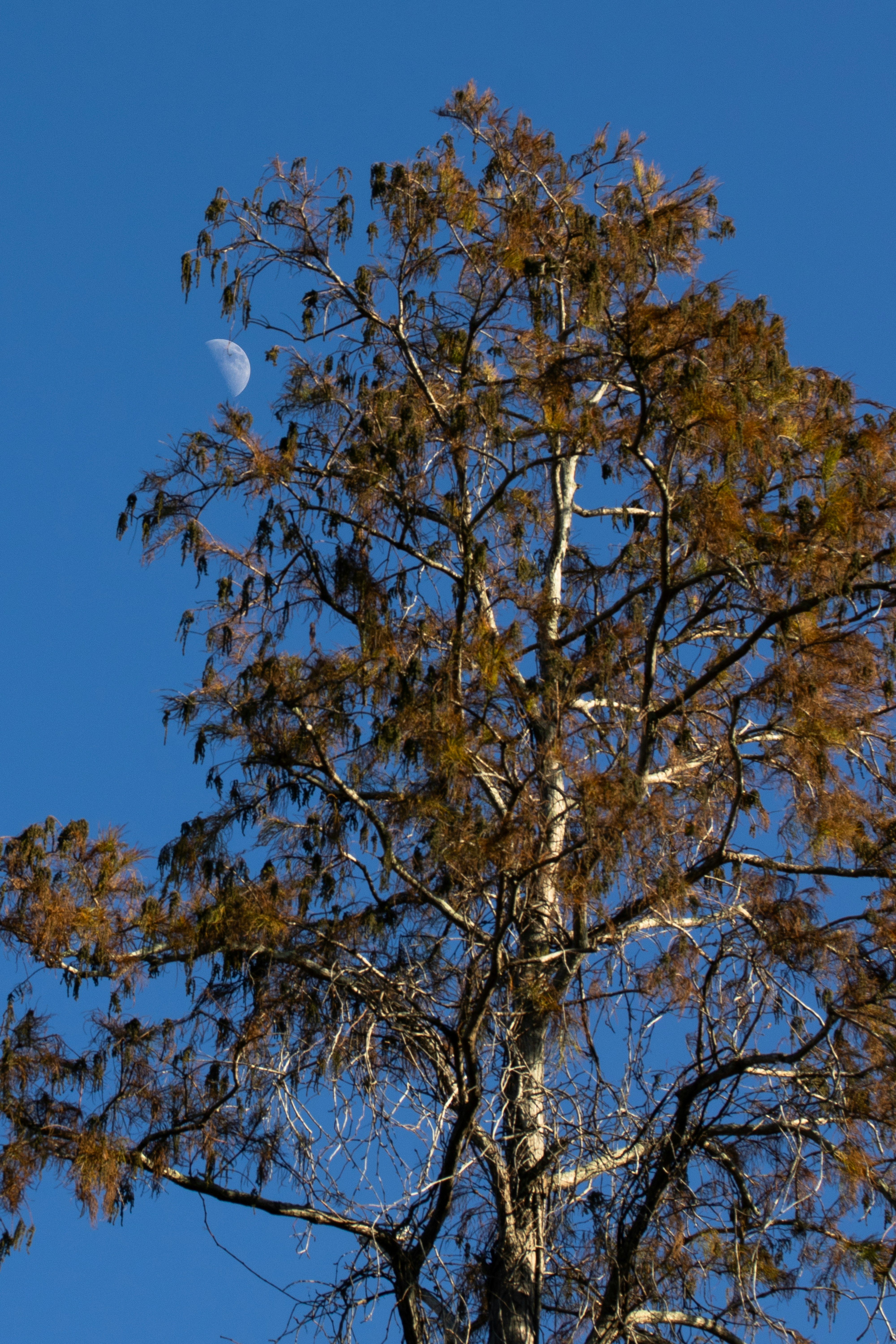 Courtney Cantu (@courtneycantu) | Unsplashフォトコミュニティ