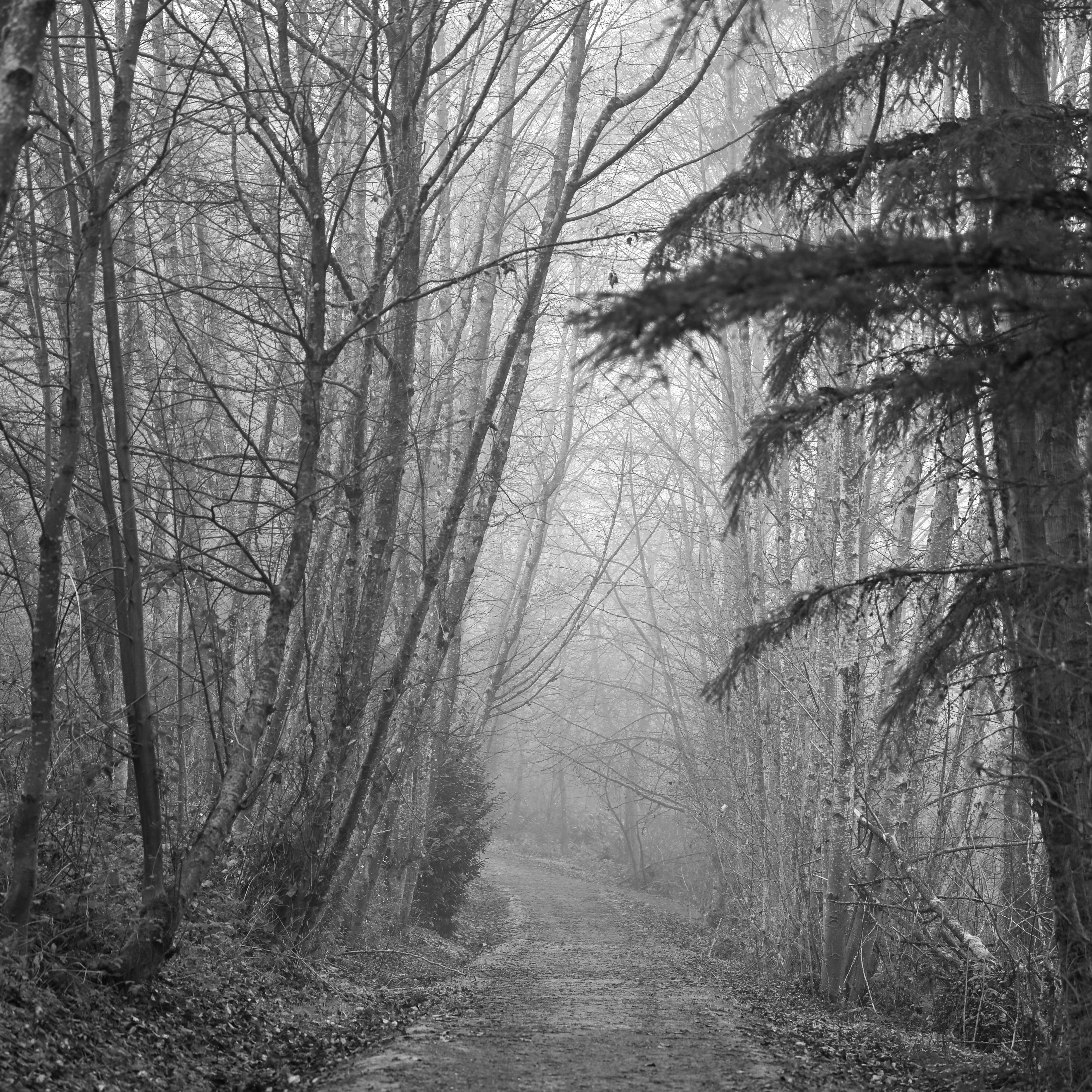 Photo by Jonathan Lim with Nikon Zf