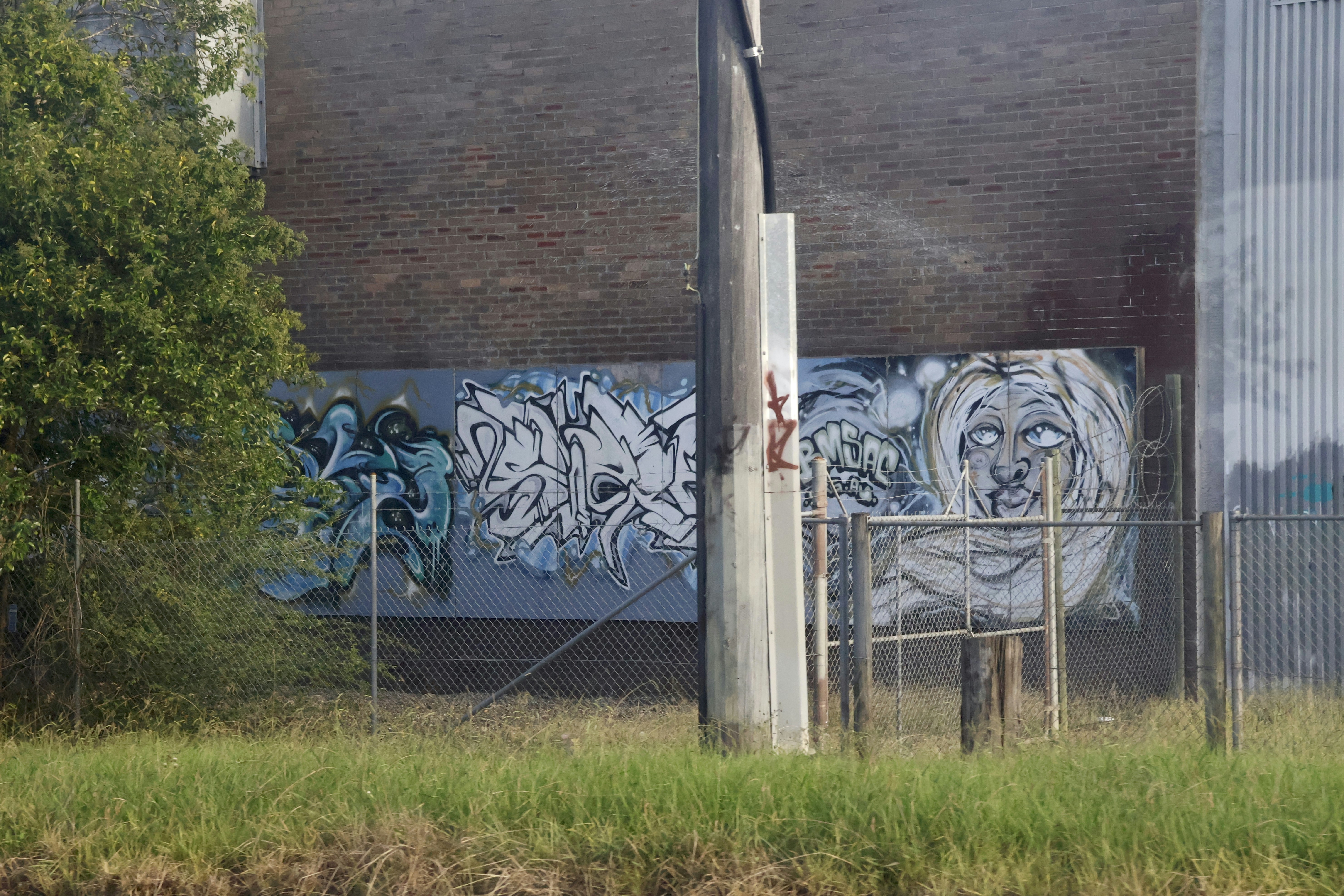 Graffiti Portraits by the Chain-Link Dawn