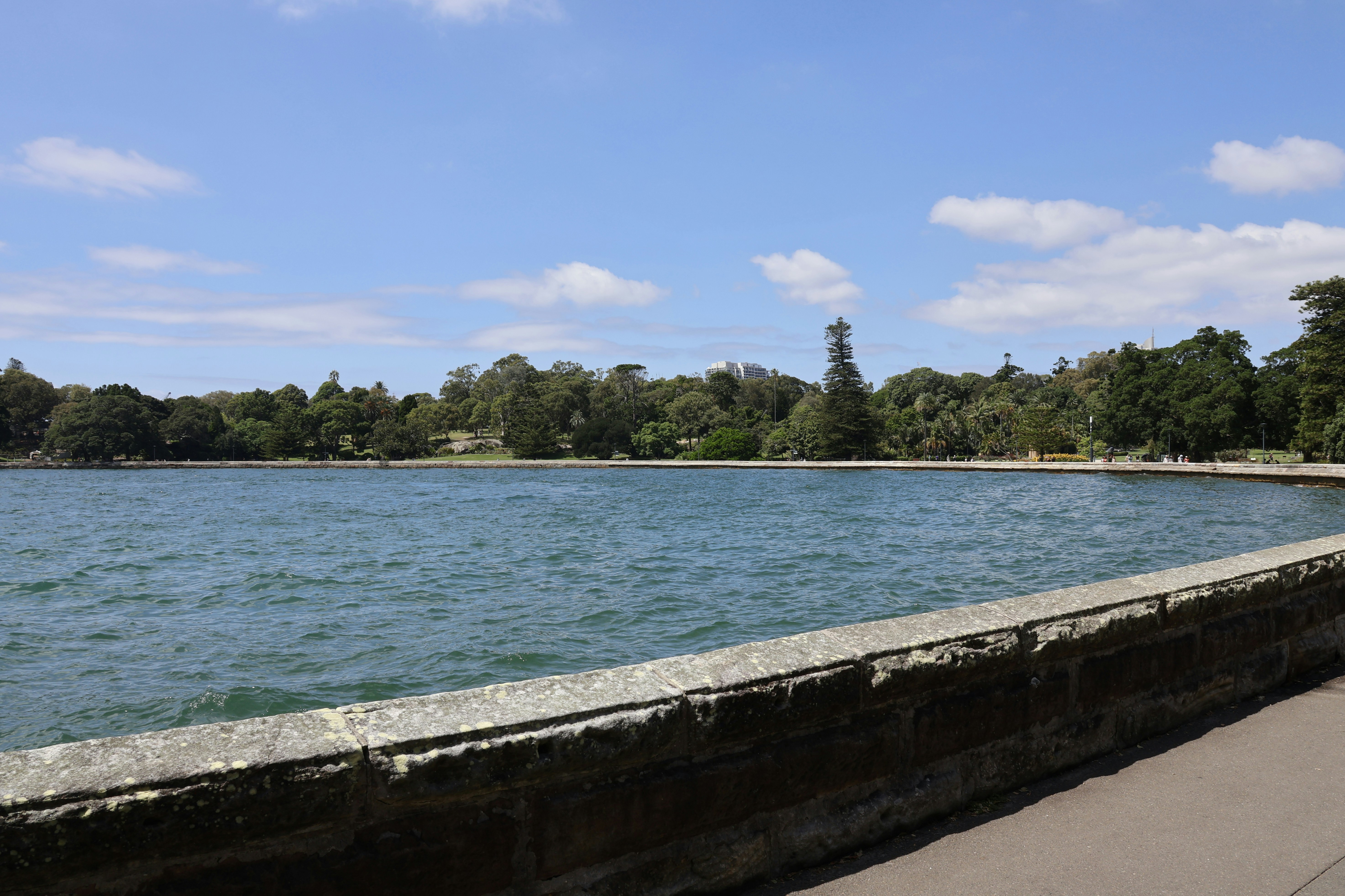Sunlit Sea Wall at a Tranquil Park