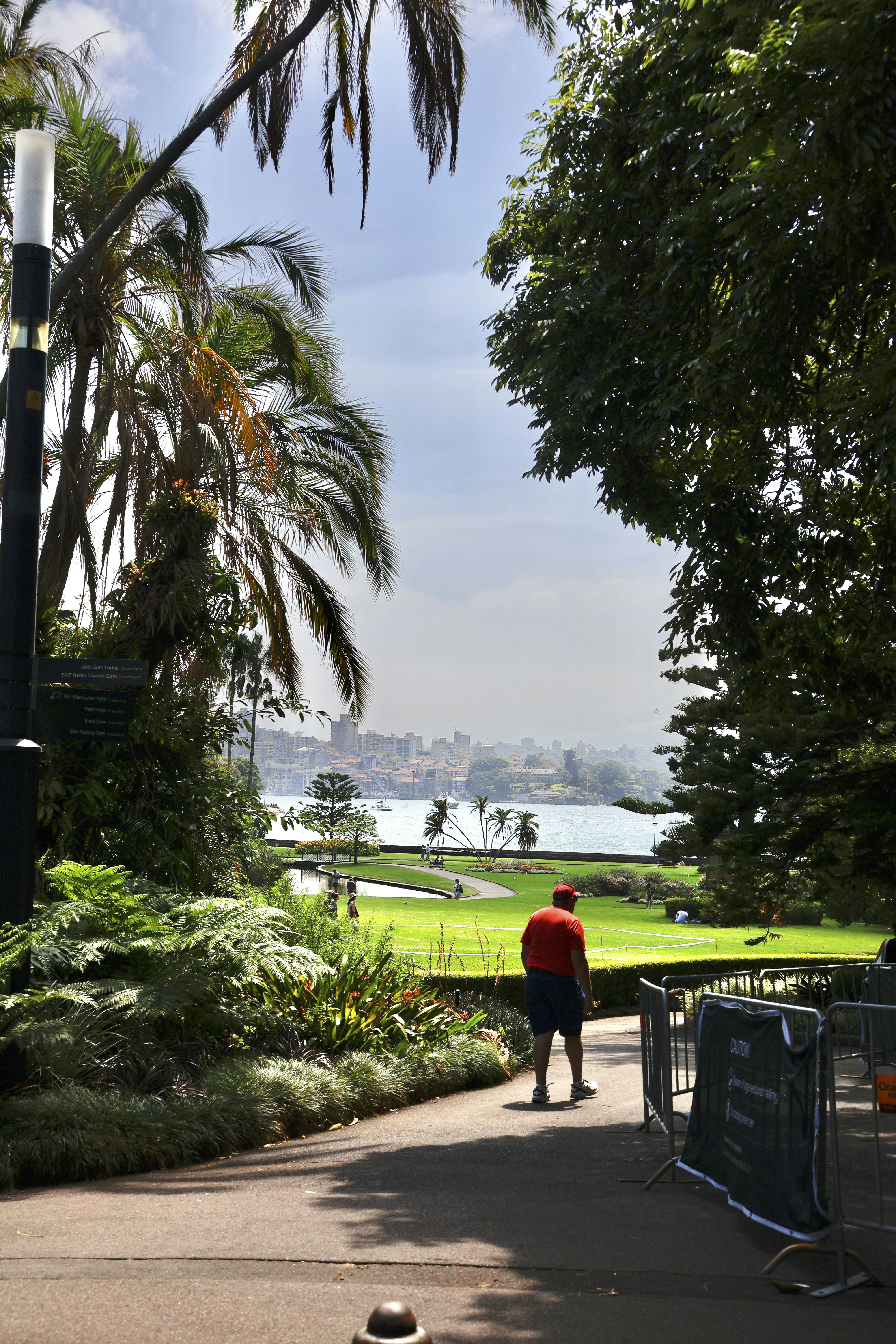 Lawn Pathway Toward Harbor: A Solitary Jogger in a Sunlit Park