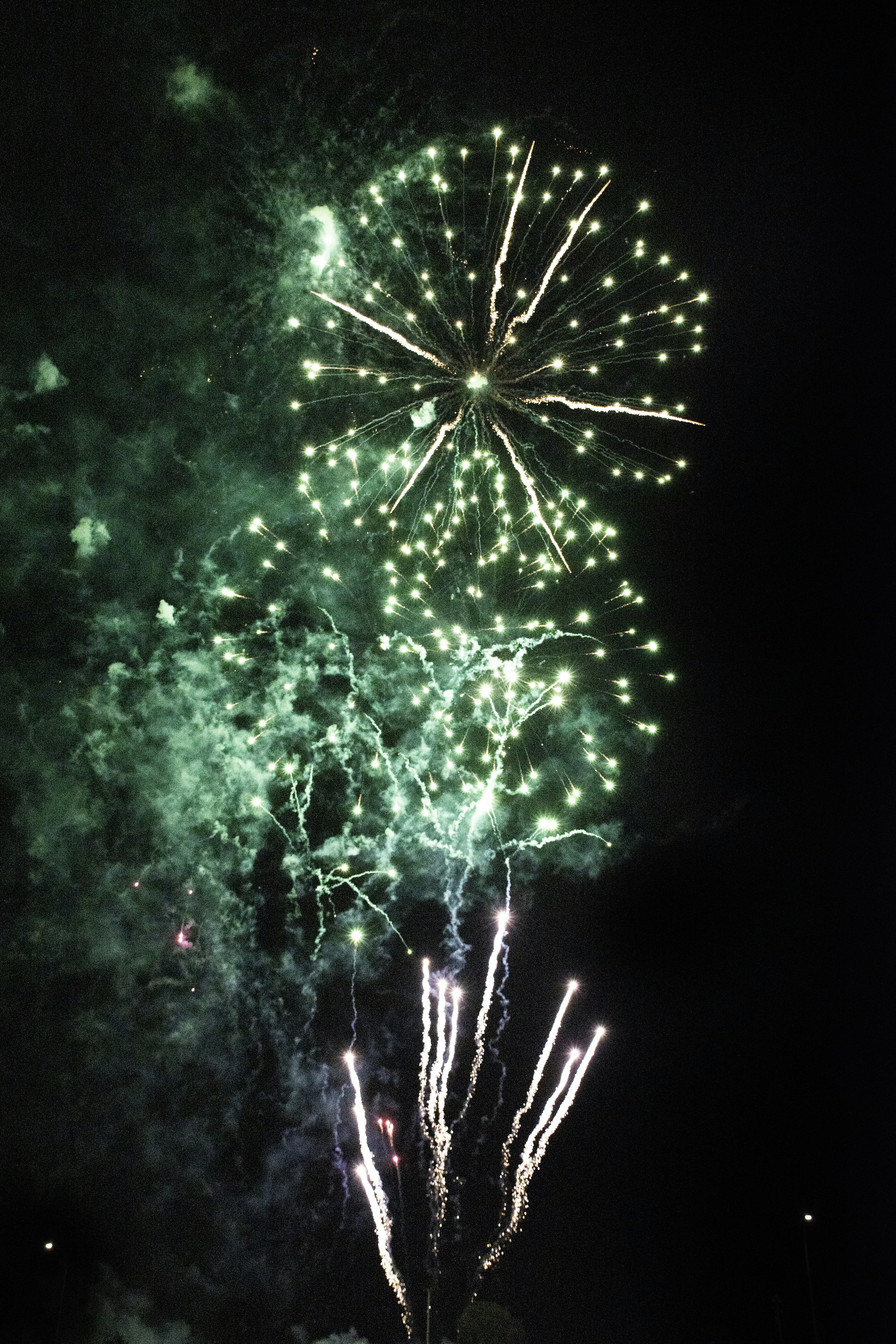 Emerald Fireworks Bloom Over Night Sky