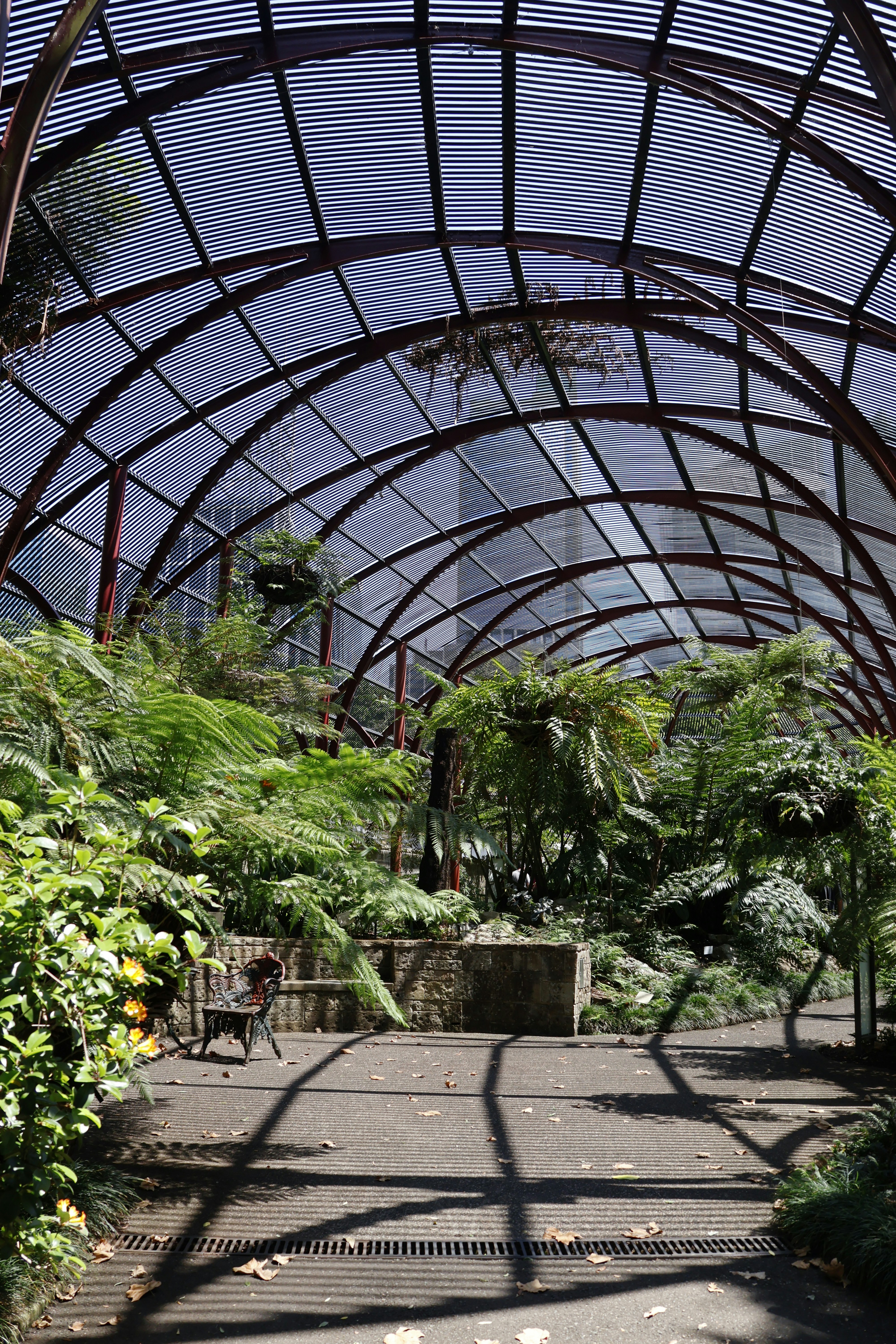 Verdant Conservatory Corridor Under Curved Glass Skies