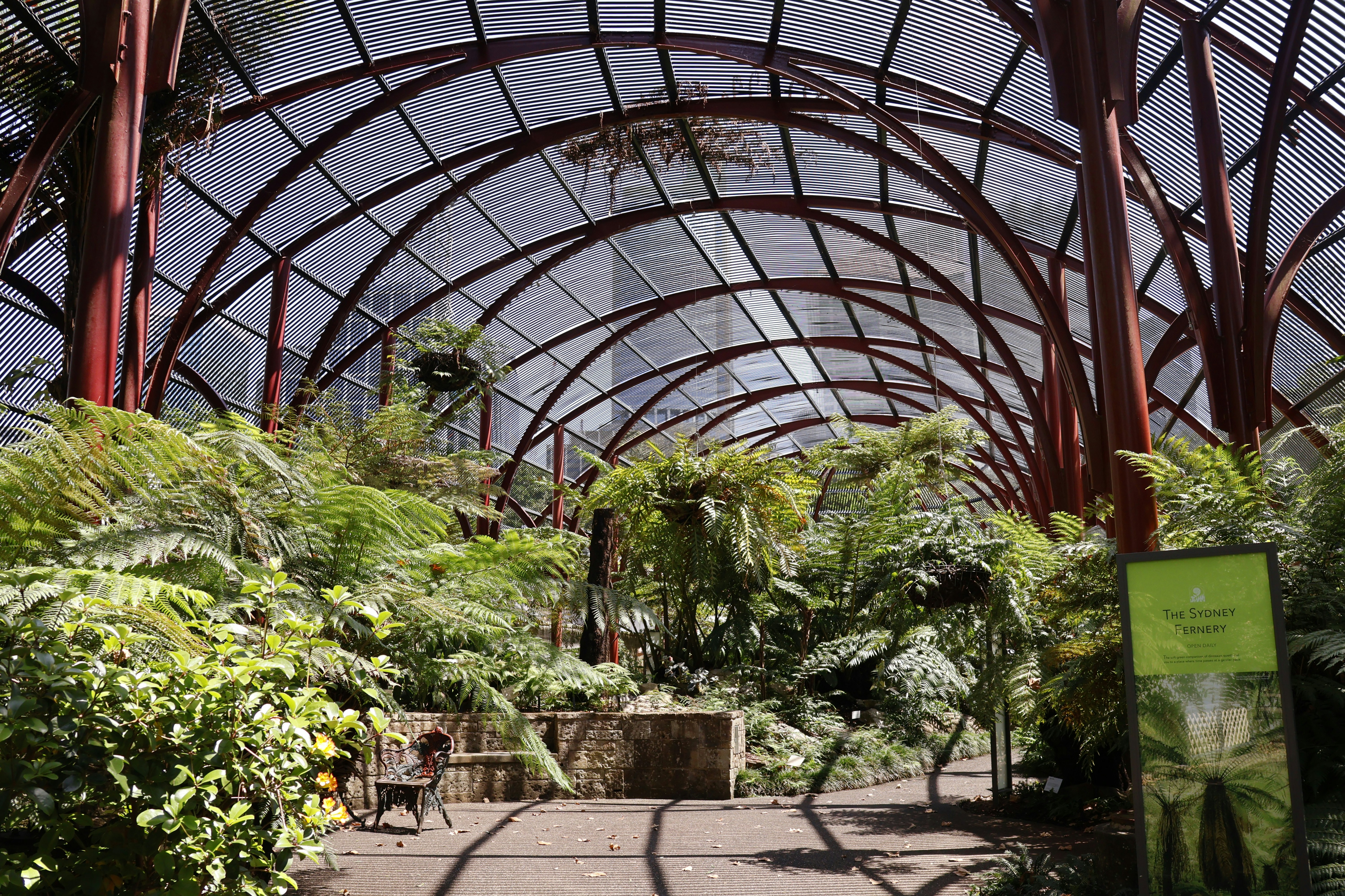 Arched Conservatory Pathway with Lush Ferns