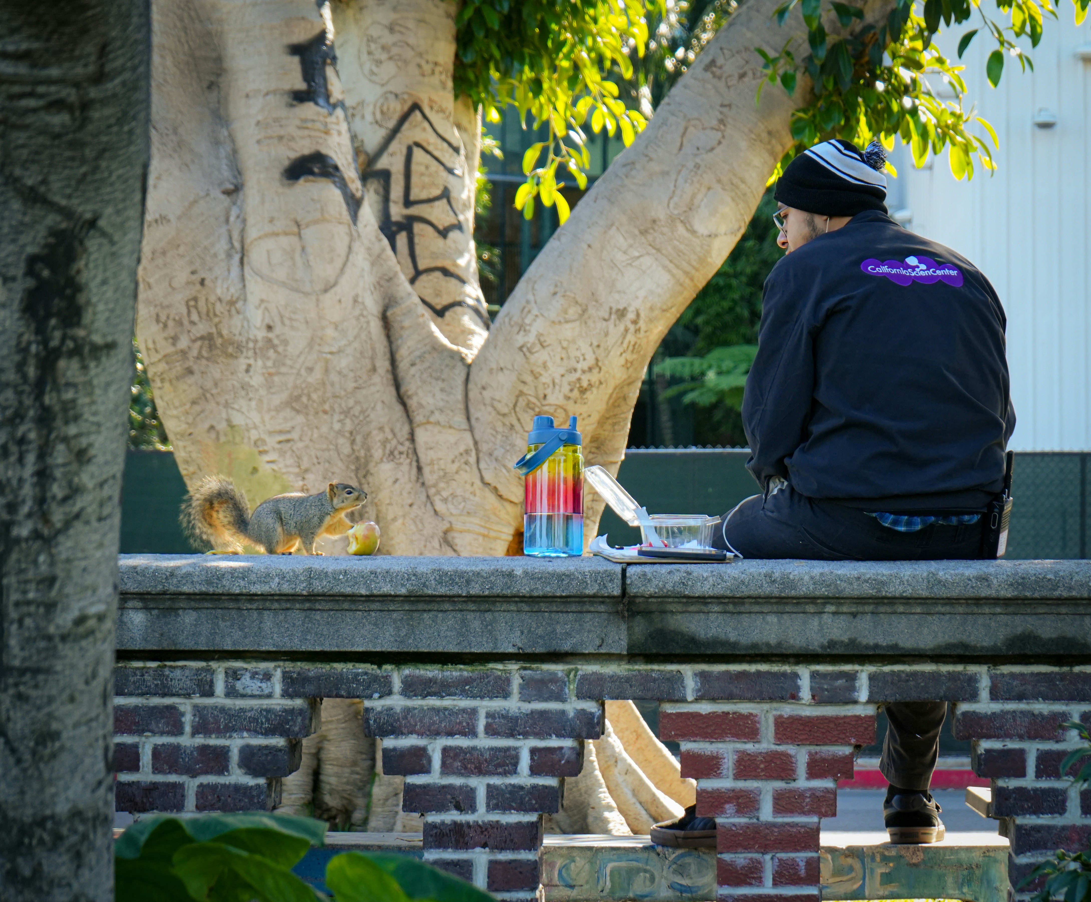 Quiet Portrait on a Park Bench: A Caregiver in Focus