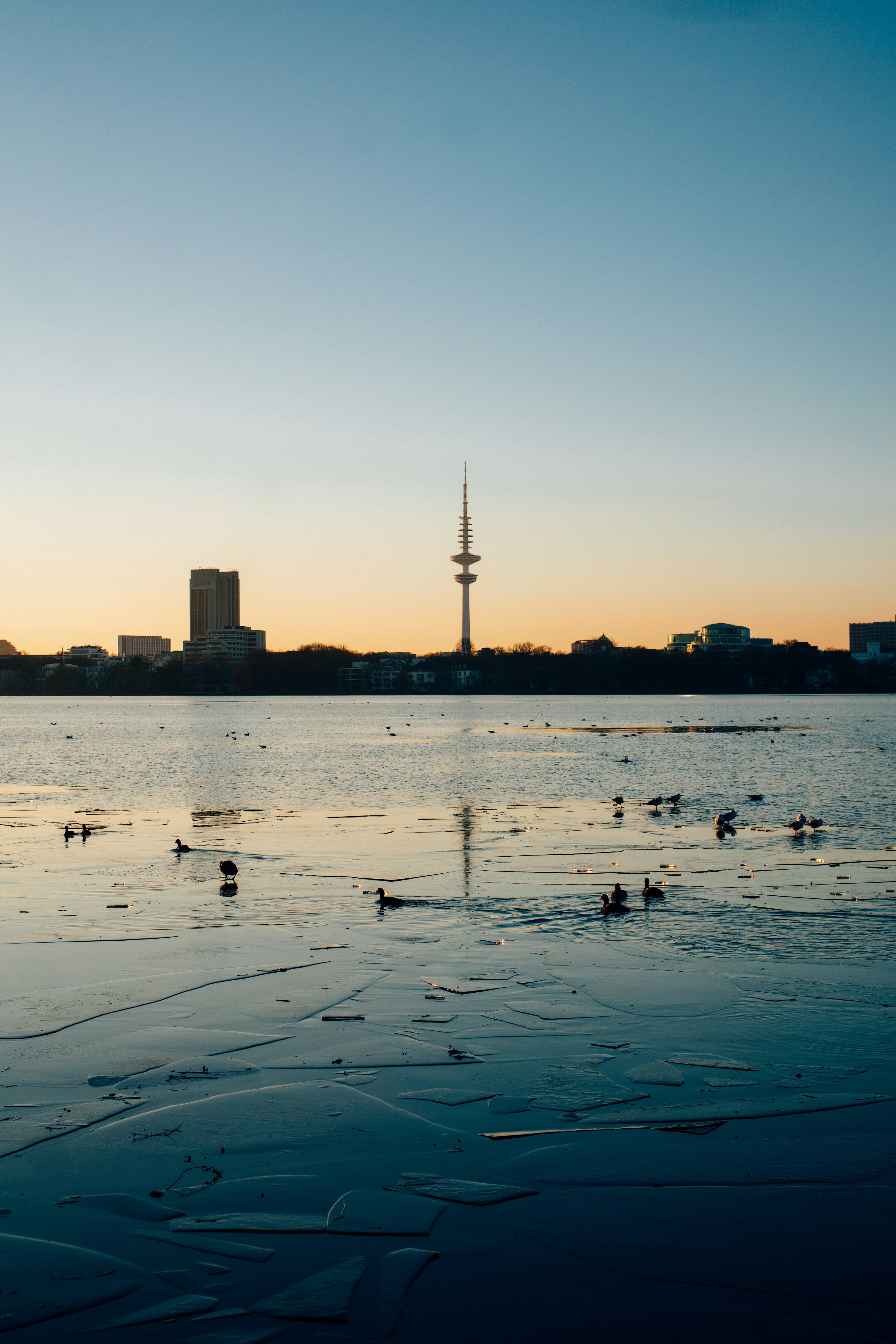 Ducks swim on a frozen lake with city skyline. photo – Free City Image ...