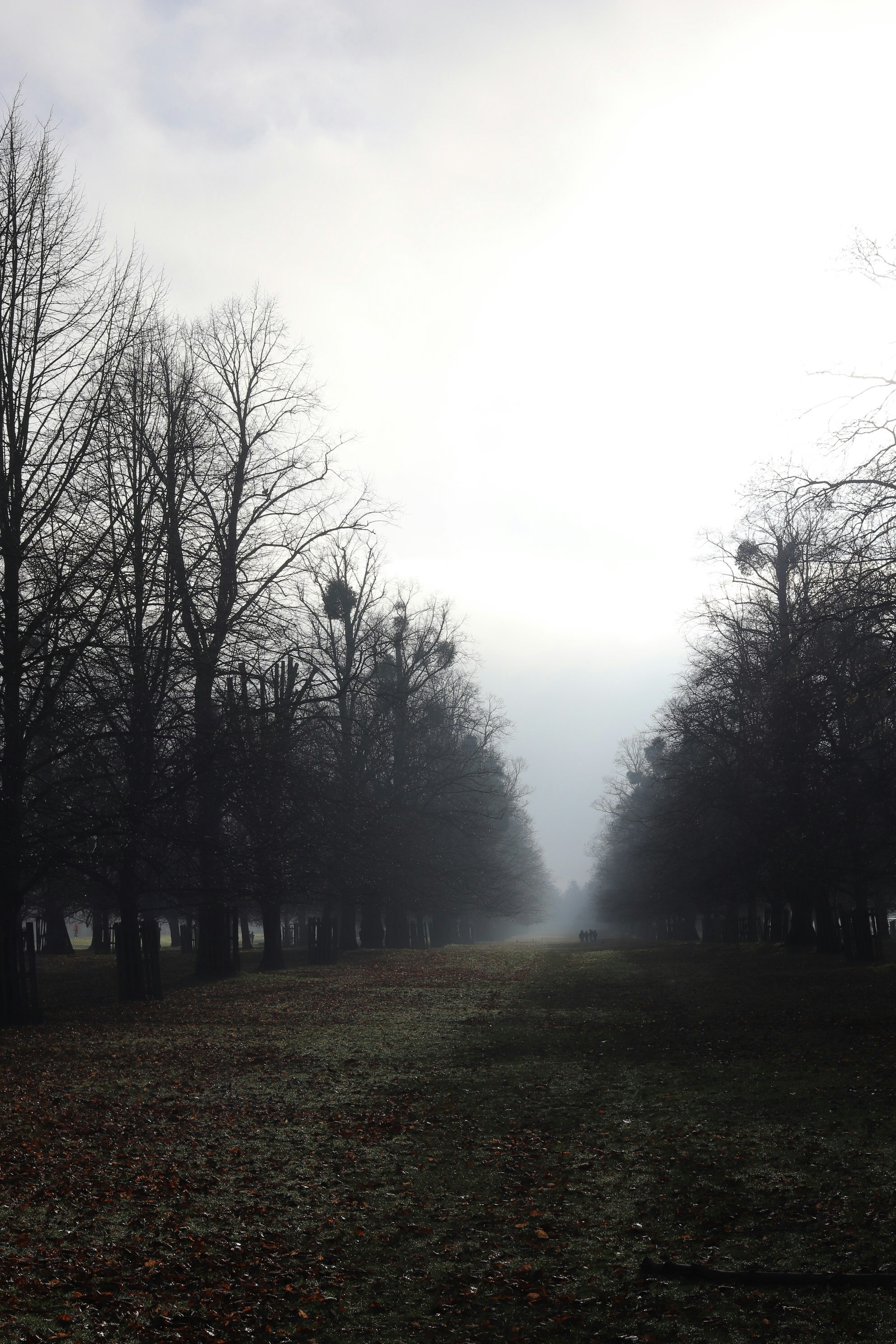 Photo by Tanya Barrow with Canon EOS 77D