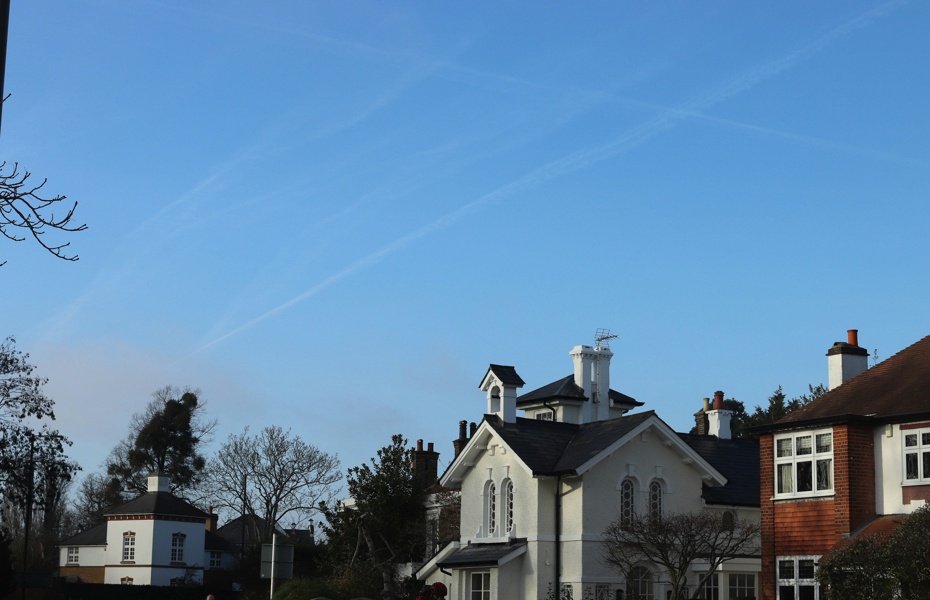 Photo by Tanya Barrow with Canon EOS 77D