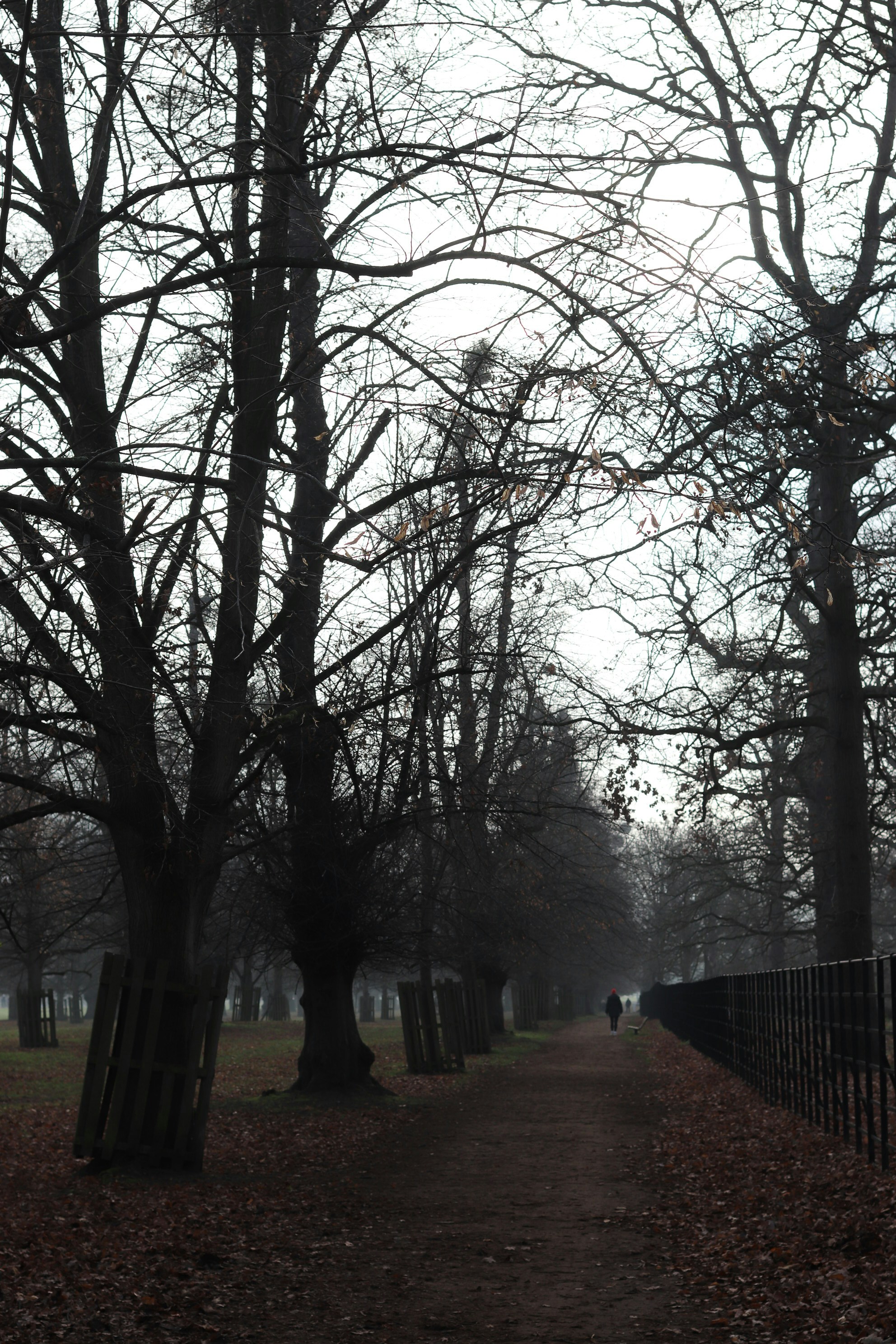 Photo by Tanya Barrow with Canon EOS 77D