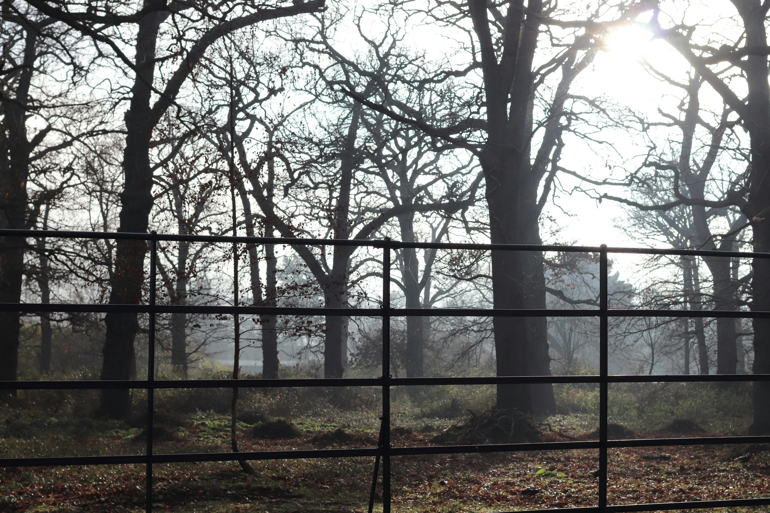 Photo by Tanya Barrow with Canon EOS 77D