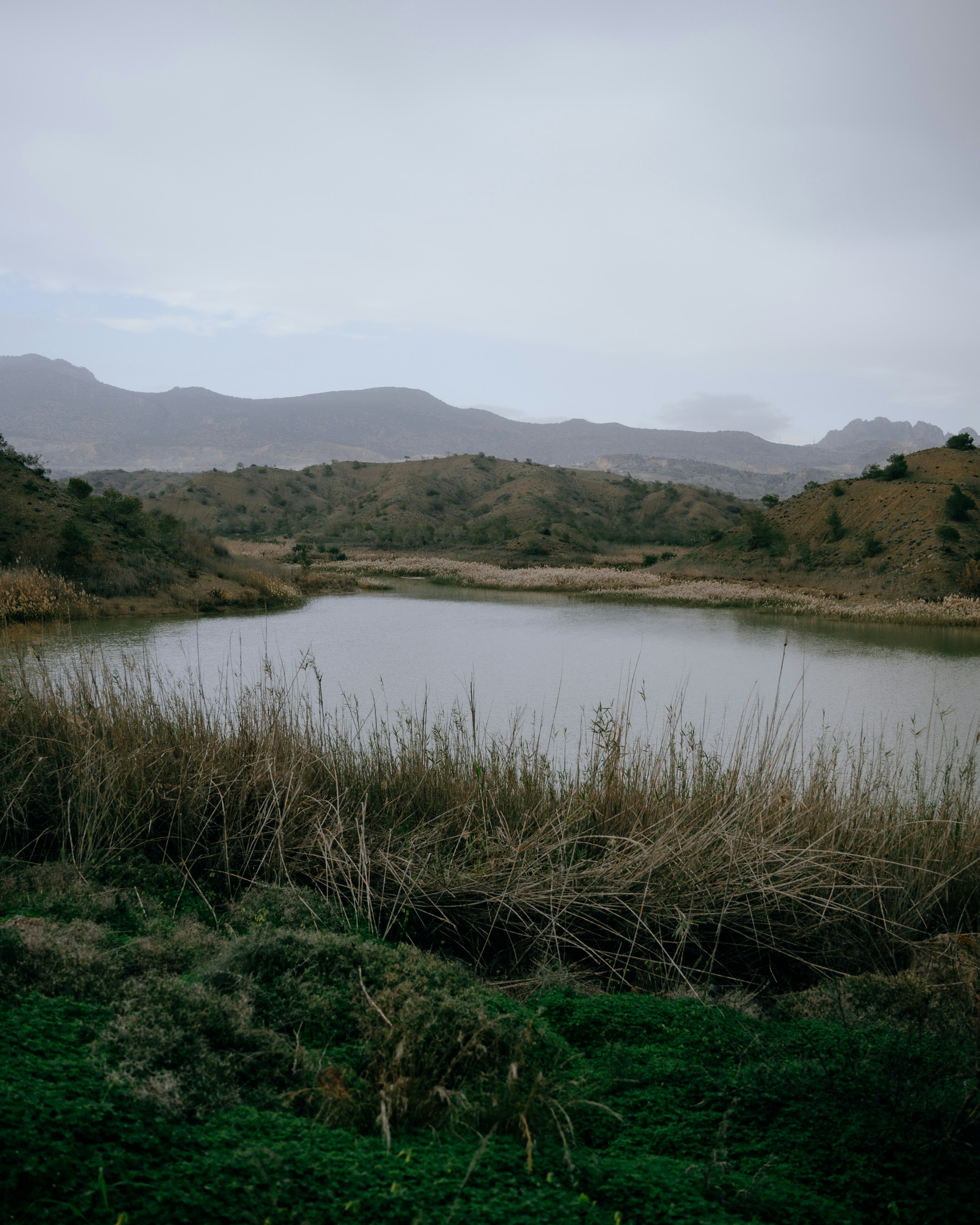 Quiet Basin: A Serene Reservoir Framed by Hills
