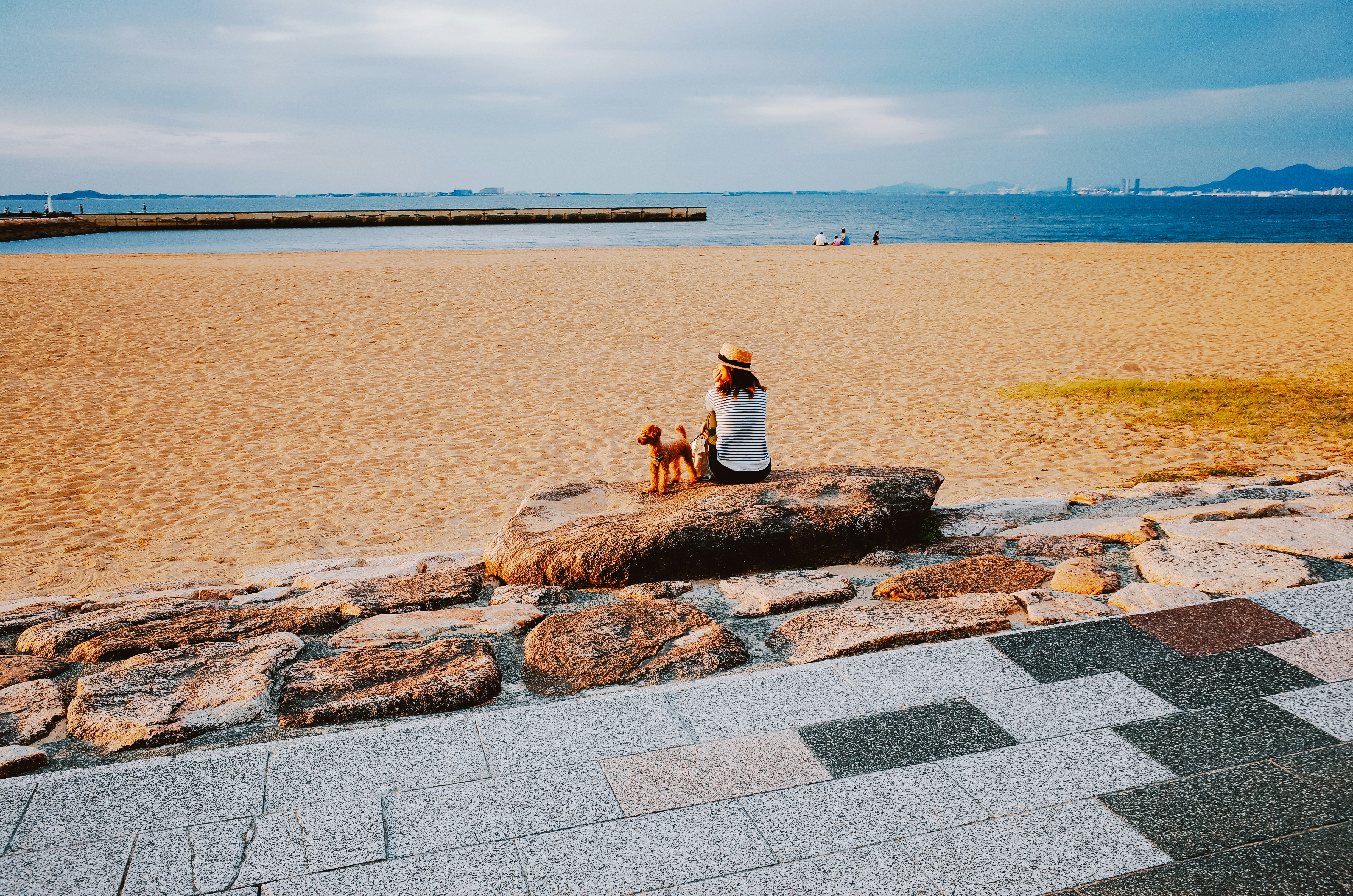 Quiet shoreline confidences: a lone figure with a dog on a sunlit jetty