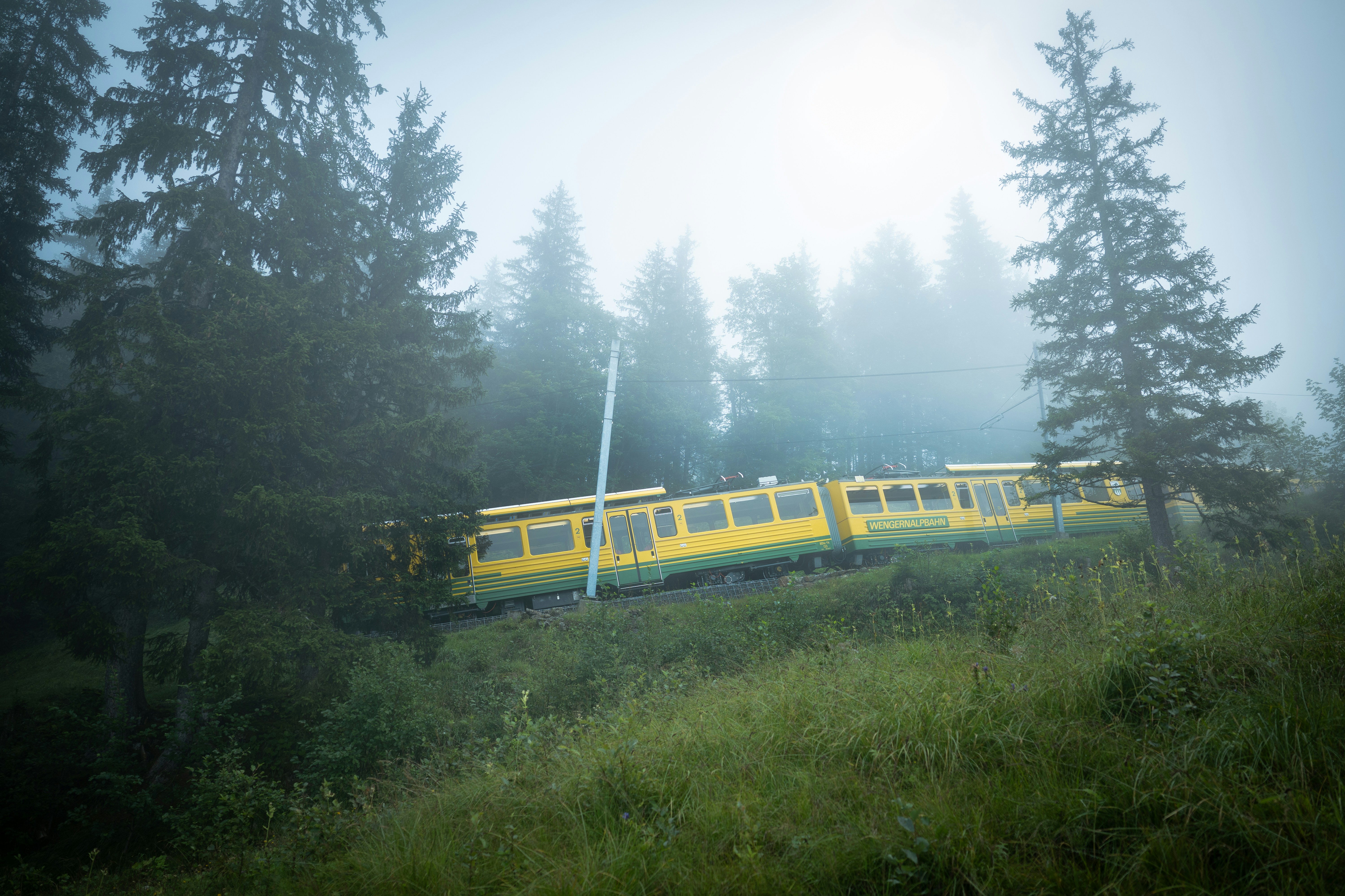 Yellow Train Through Mist: A Quiet Ridgeline Drift