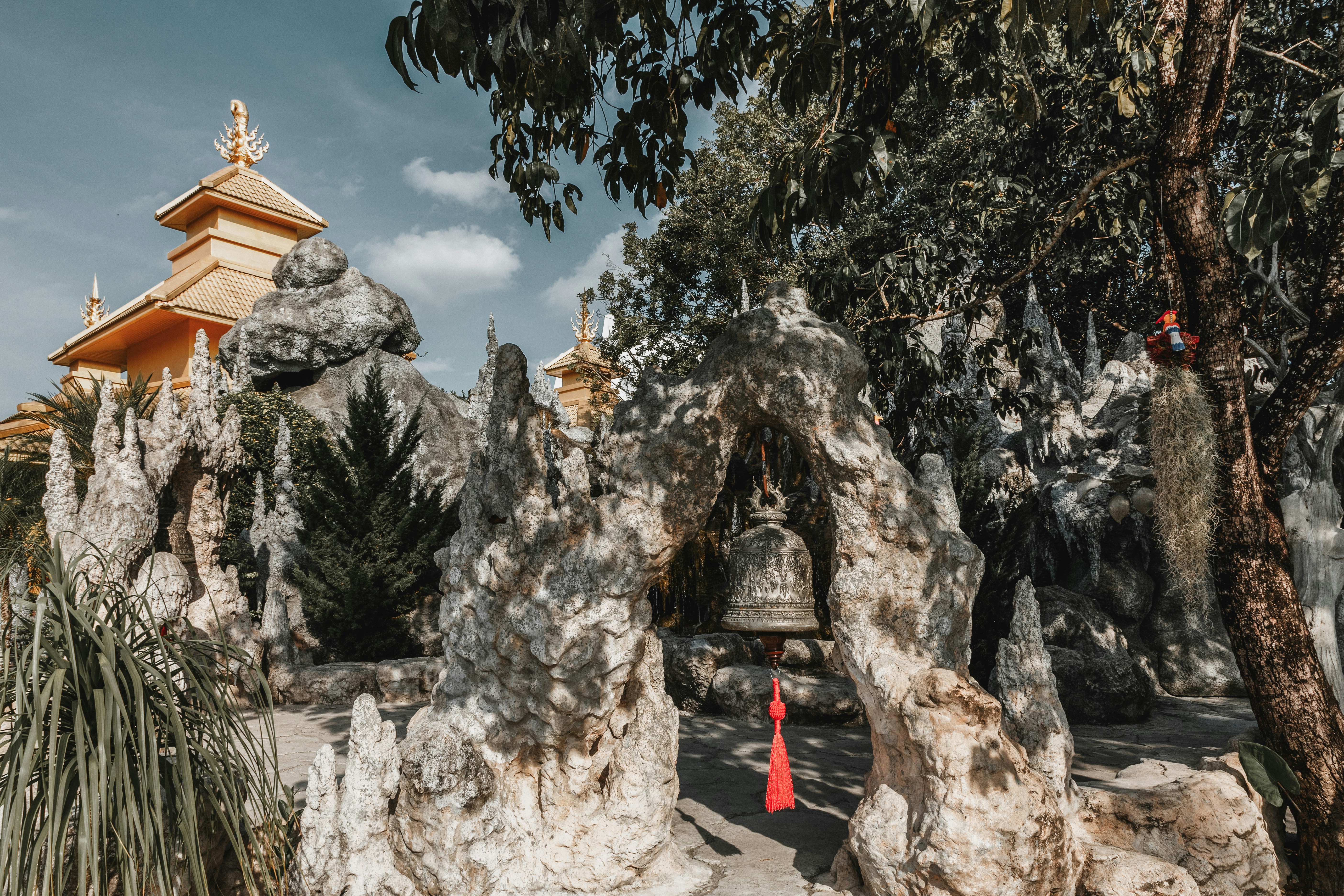 Stone Forest and Temple Spires Framed by Gnarled Trees