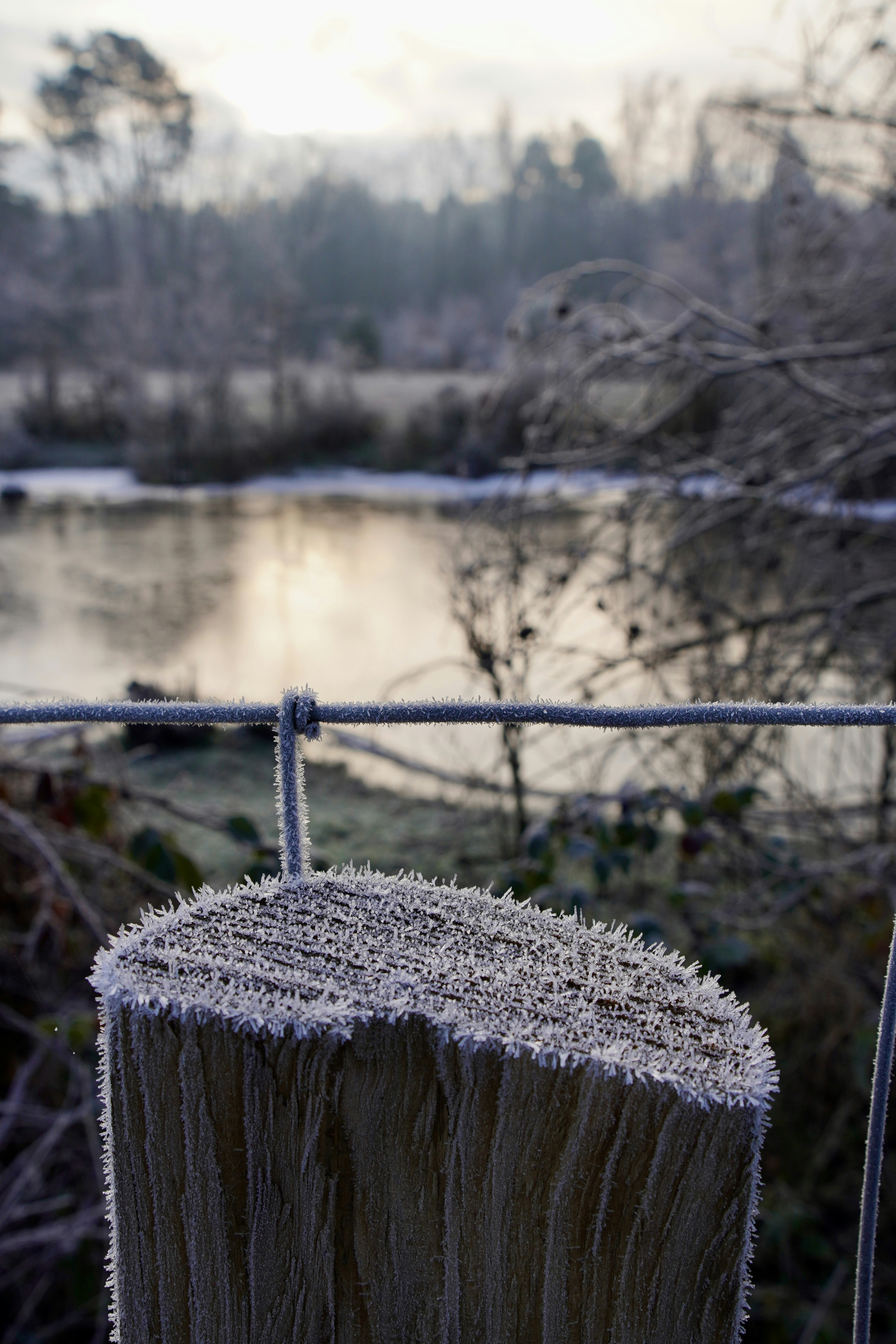 Frosted Post: A Detached Cable Guard with Ice-Crystal Detail