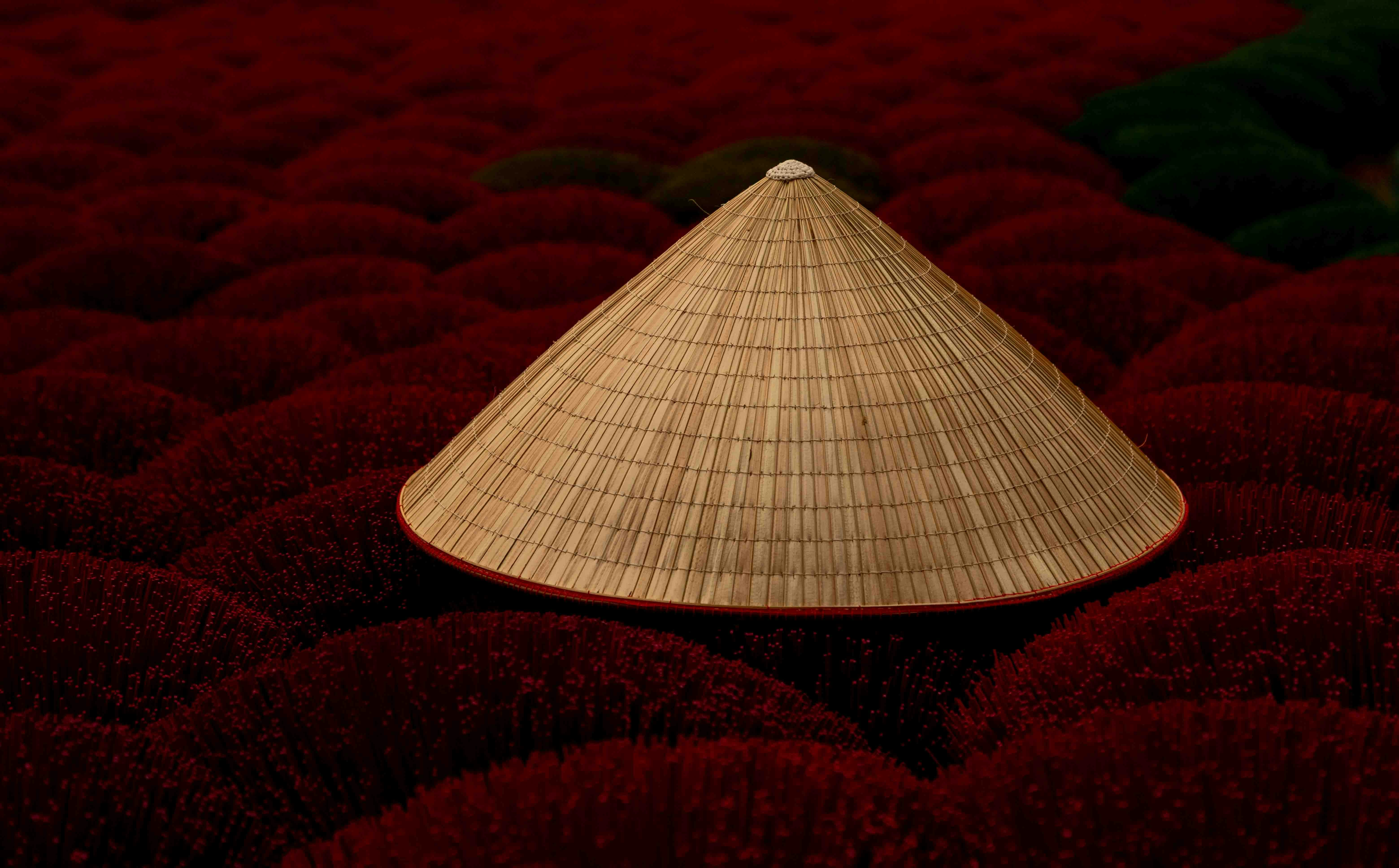 A conical asian straw hat rests on red moss.Bernd 📷 Dittrich