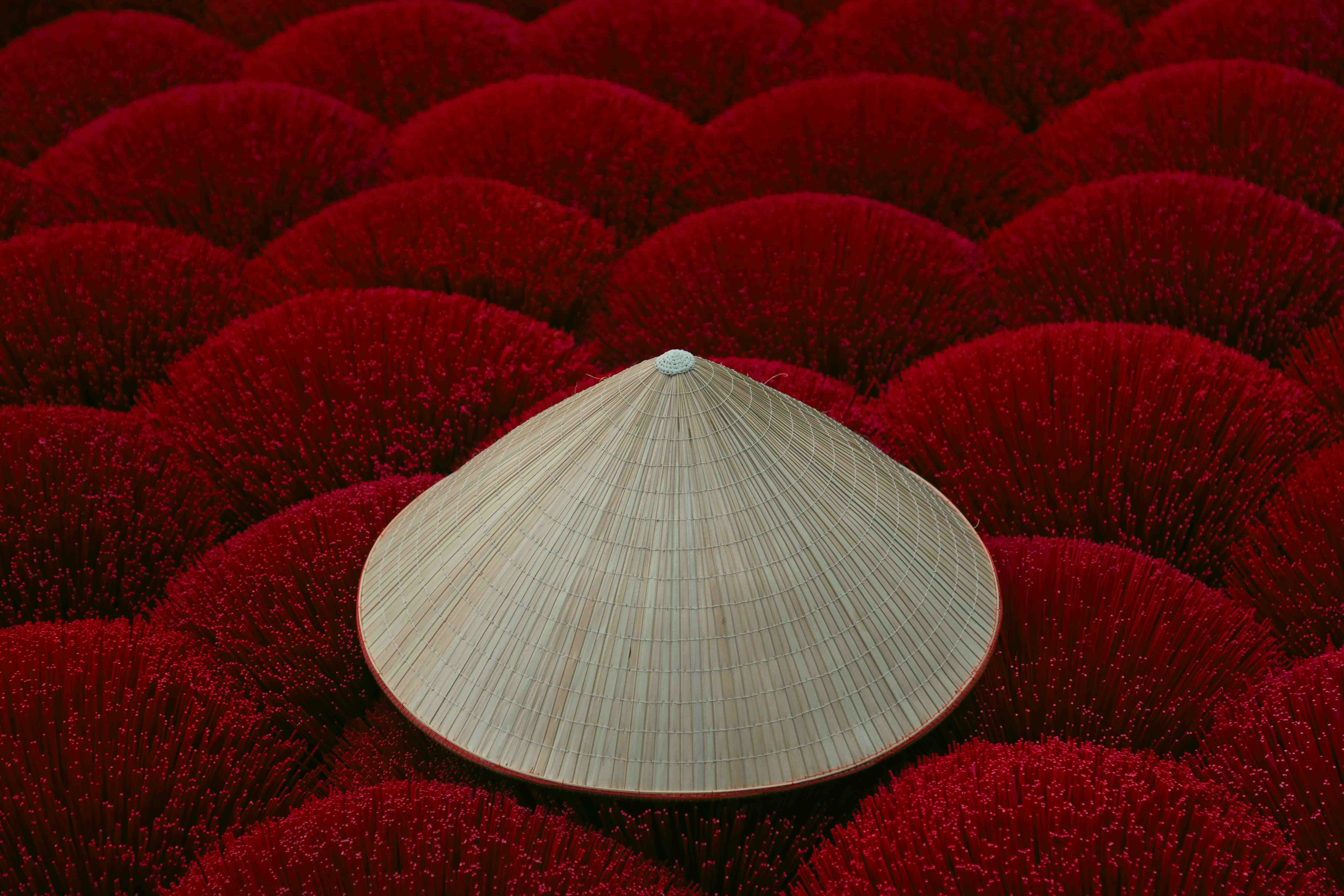 Conical Shiso: A single hat among velvet-red fields