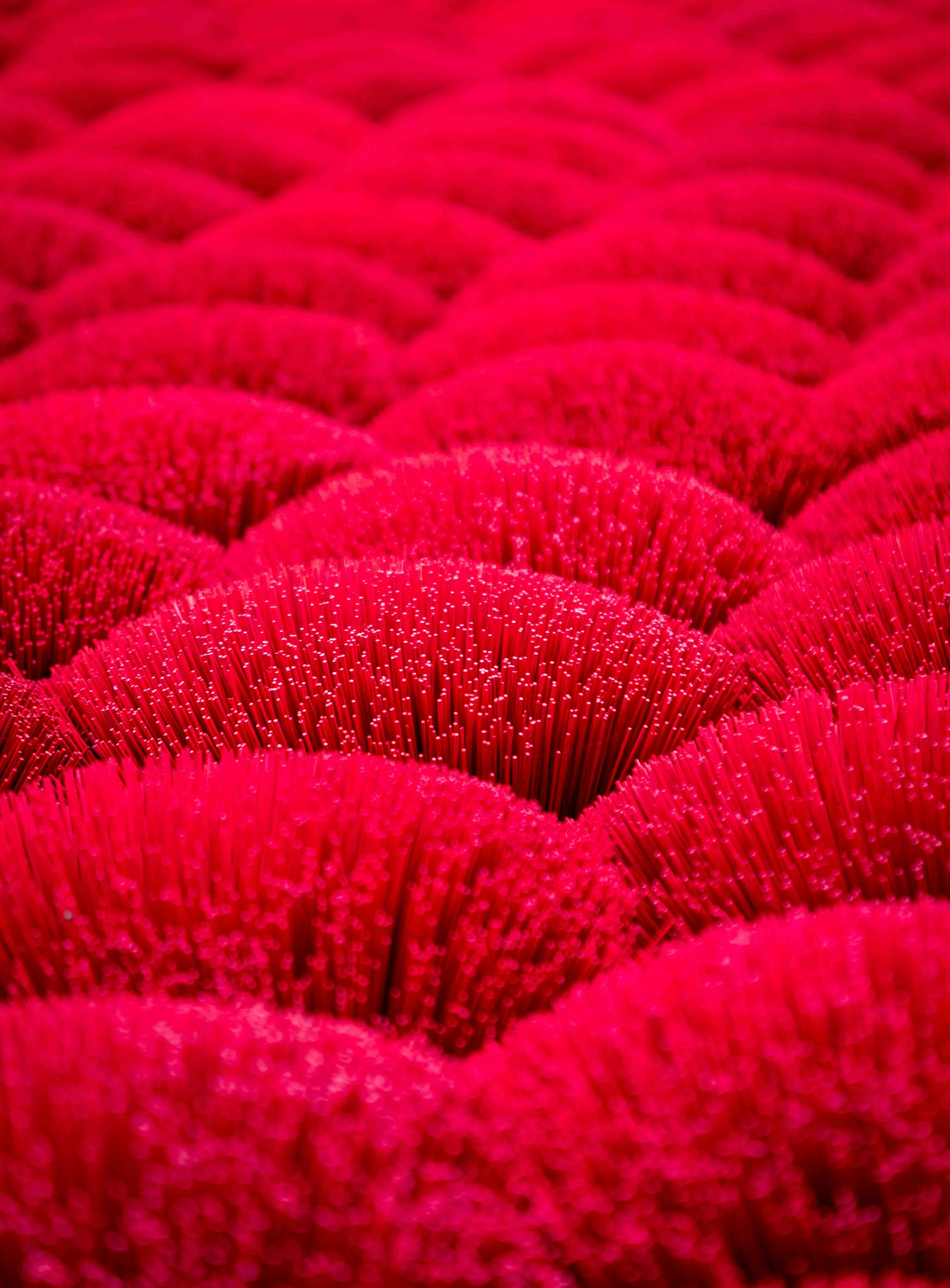 Crimson Carpet: Close-Queued Velvet Micro-Topography