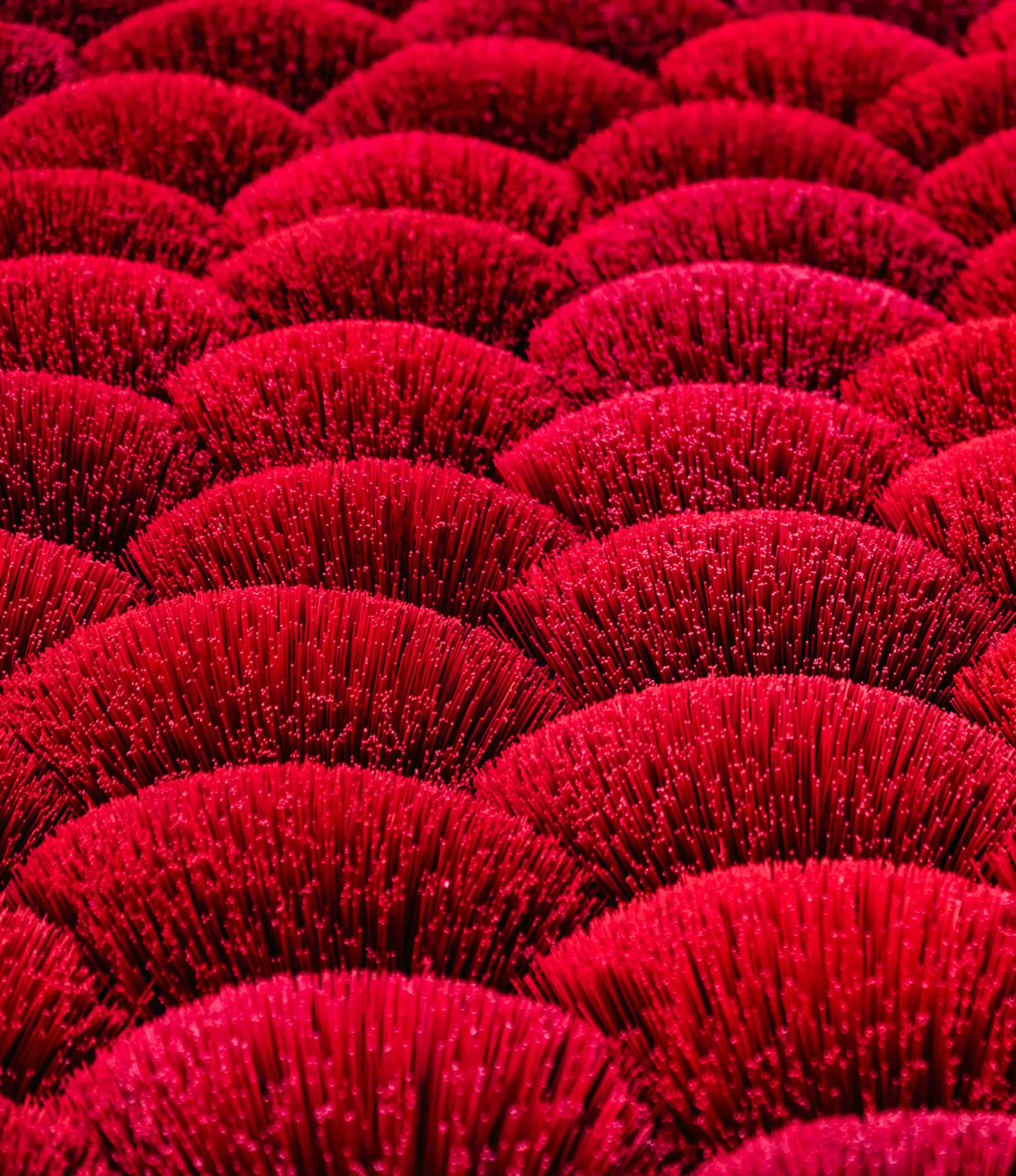 Red Velvet Echoes: Rows of Plush, Fanned Textures