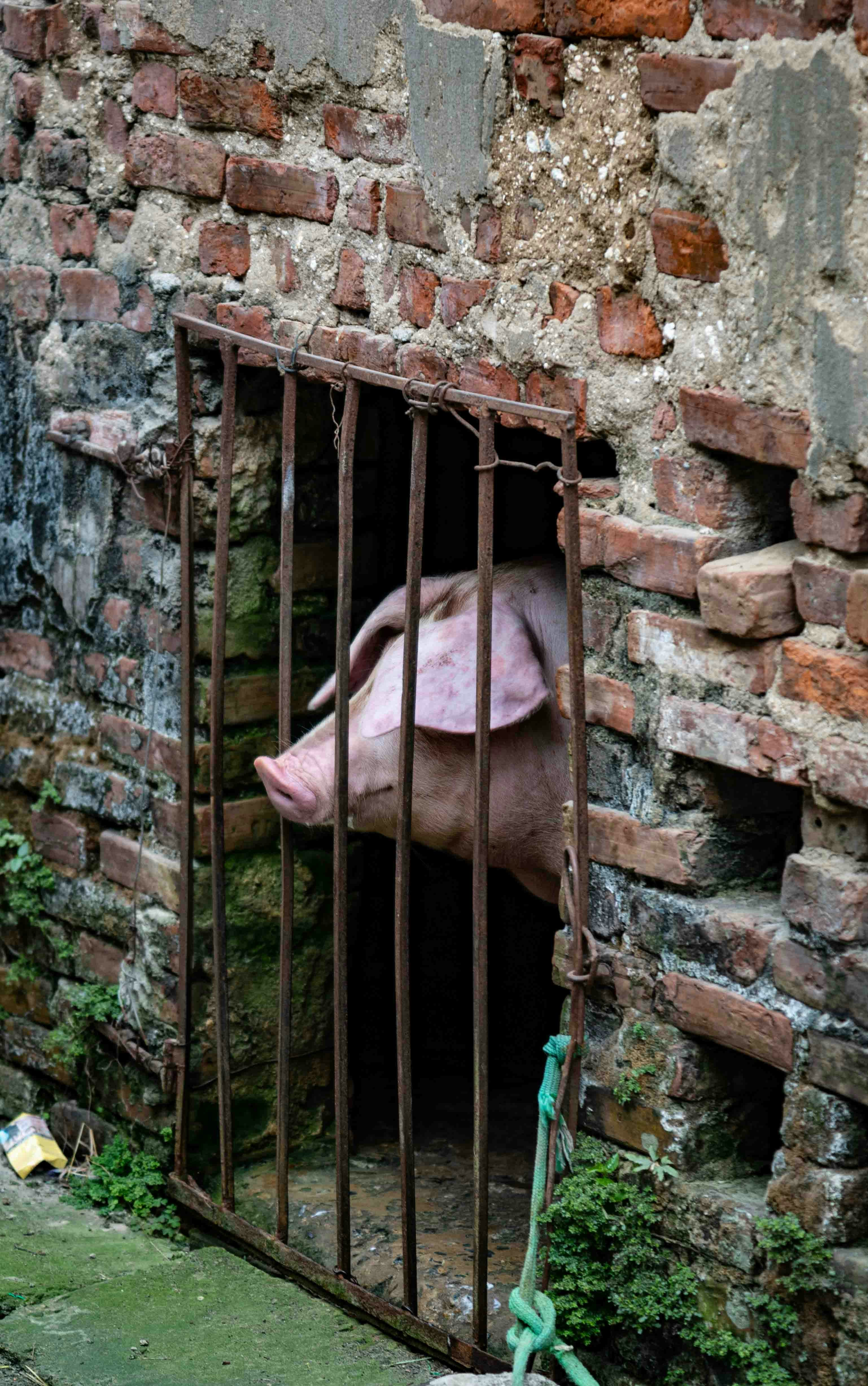 Photo by Bernd 📷 Dittrich with Canon EOS 6D Mark II