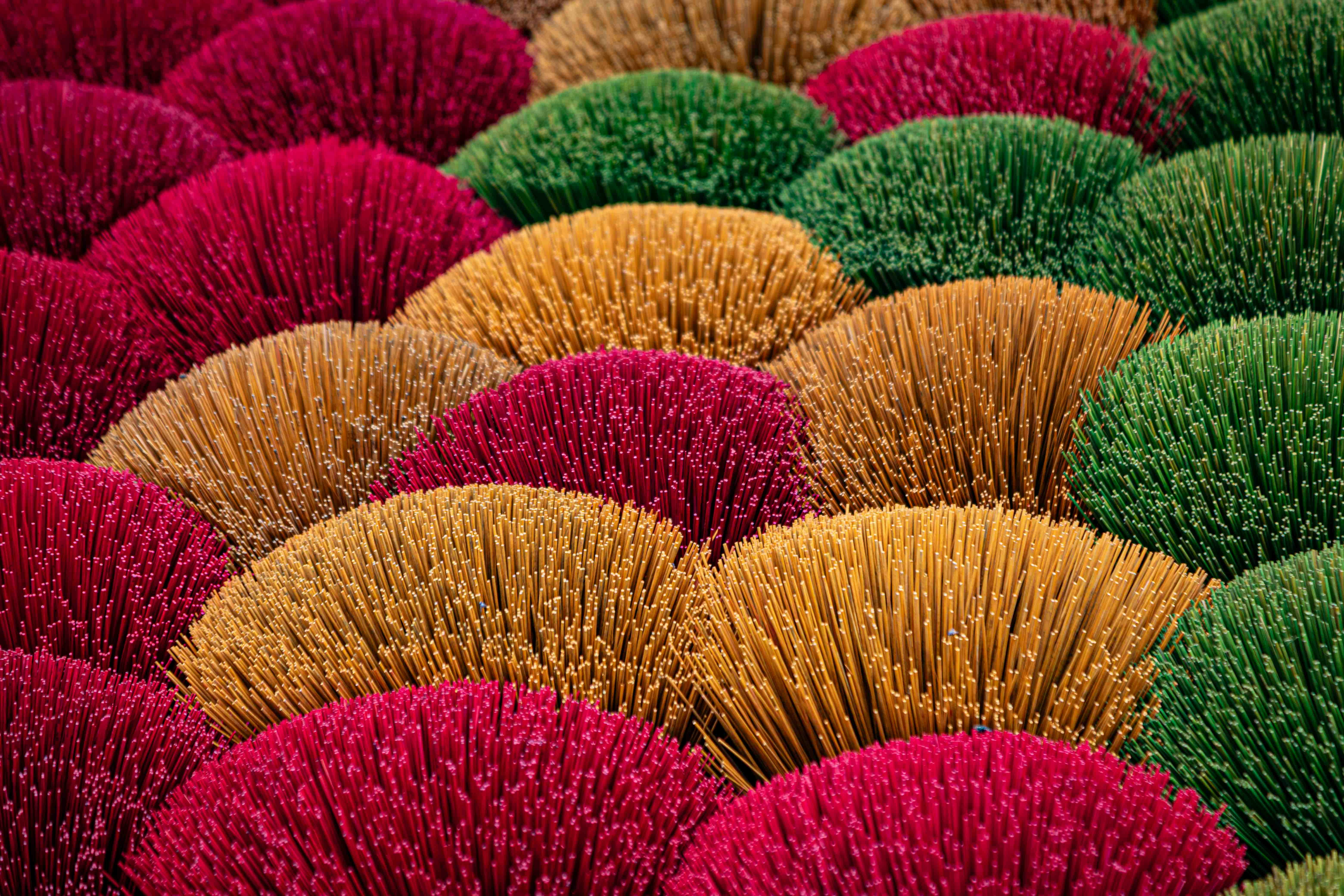 Patterns in Petals: A Kaleidoscope of Colorful Brushstrokes