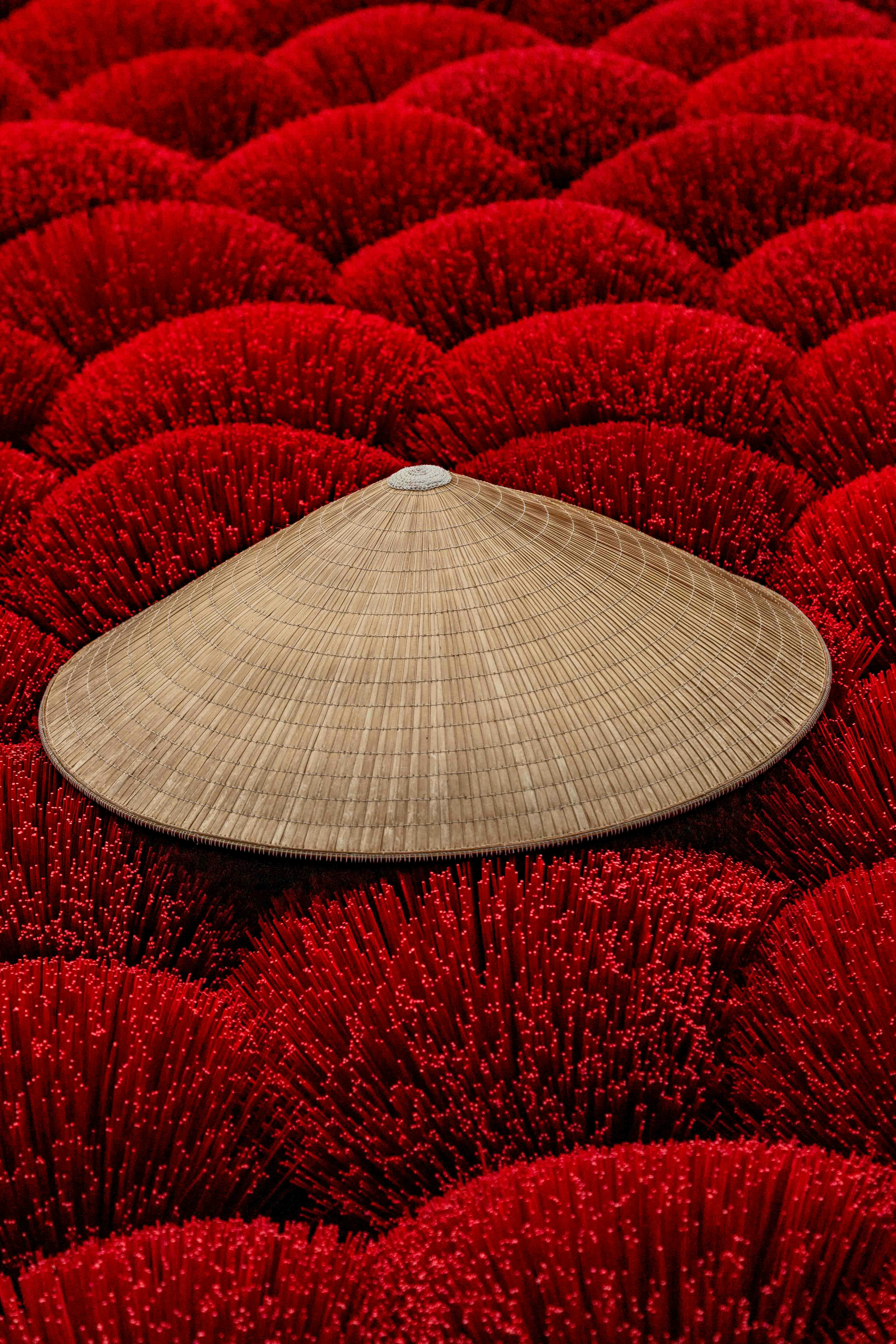 Confluence of Red Seas: A Straw Hat Resting on a Field of Velvet Crescents