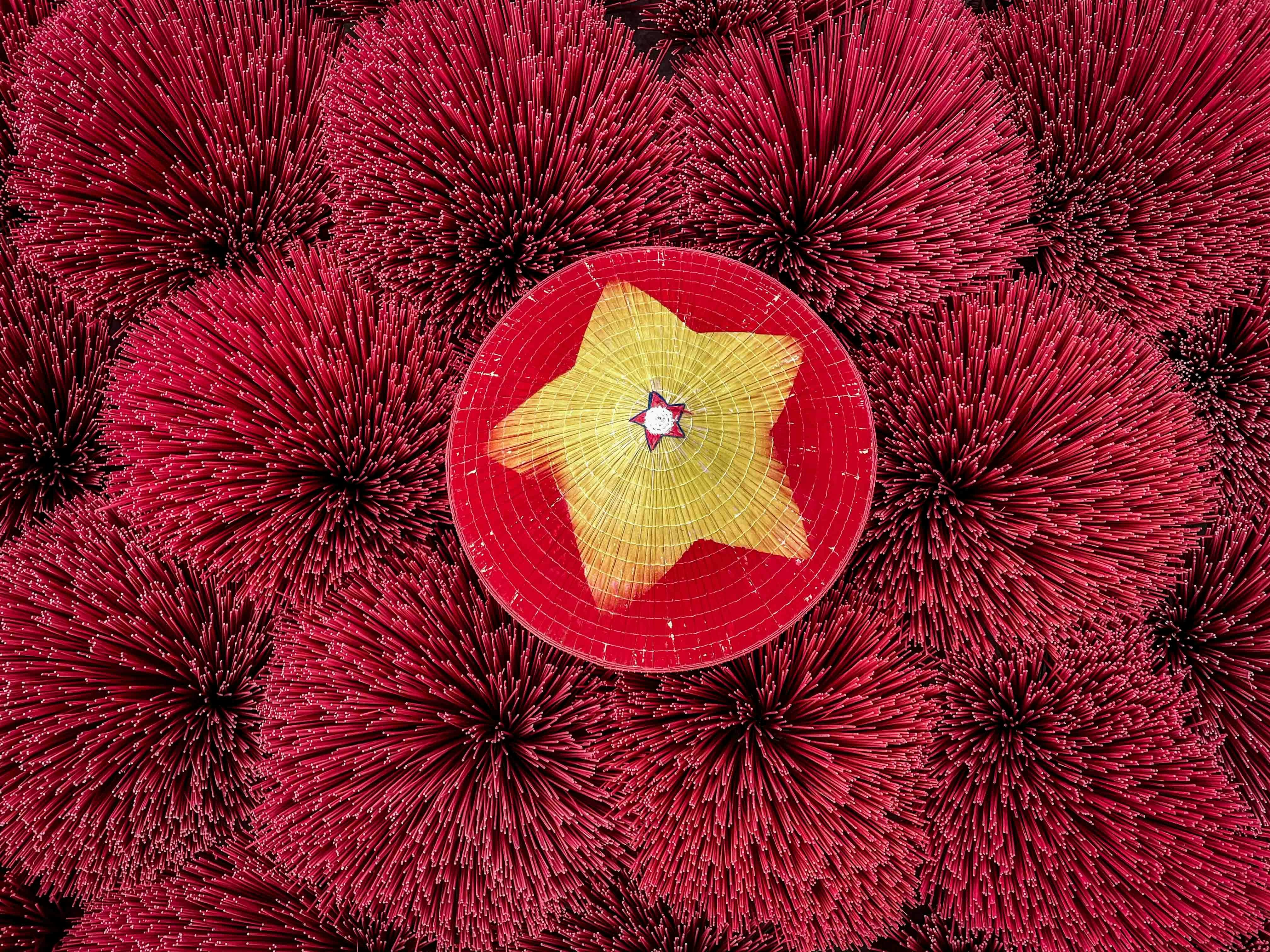 Starry Red Crest: A Coral Patch With Circular Center