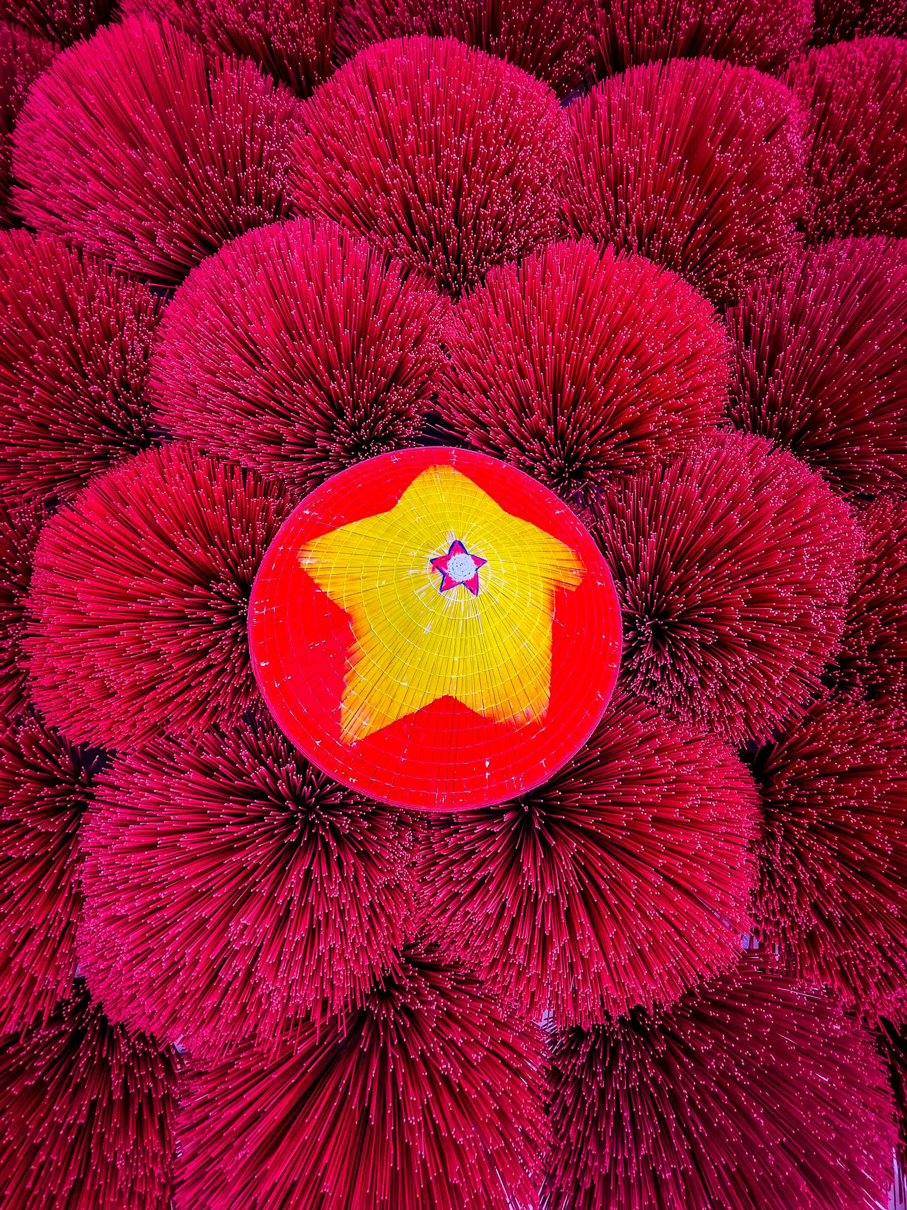 Red Coral Dome: A Neon Sunset in a Sea of Fuzz