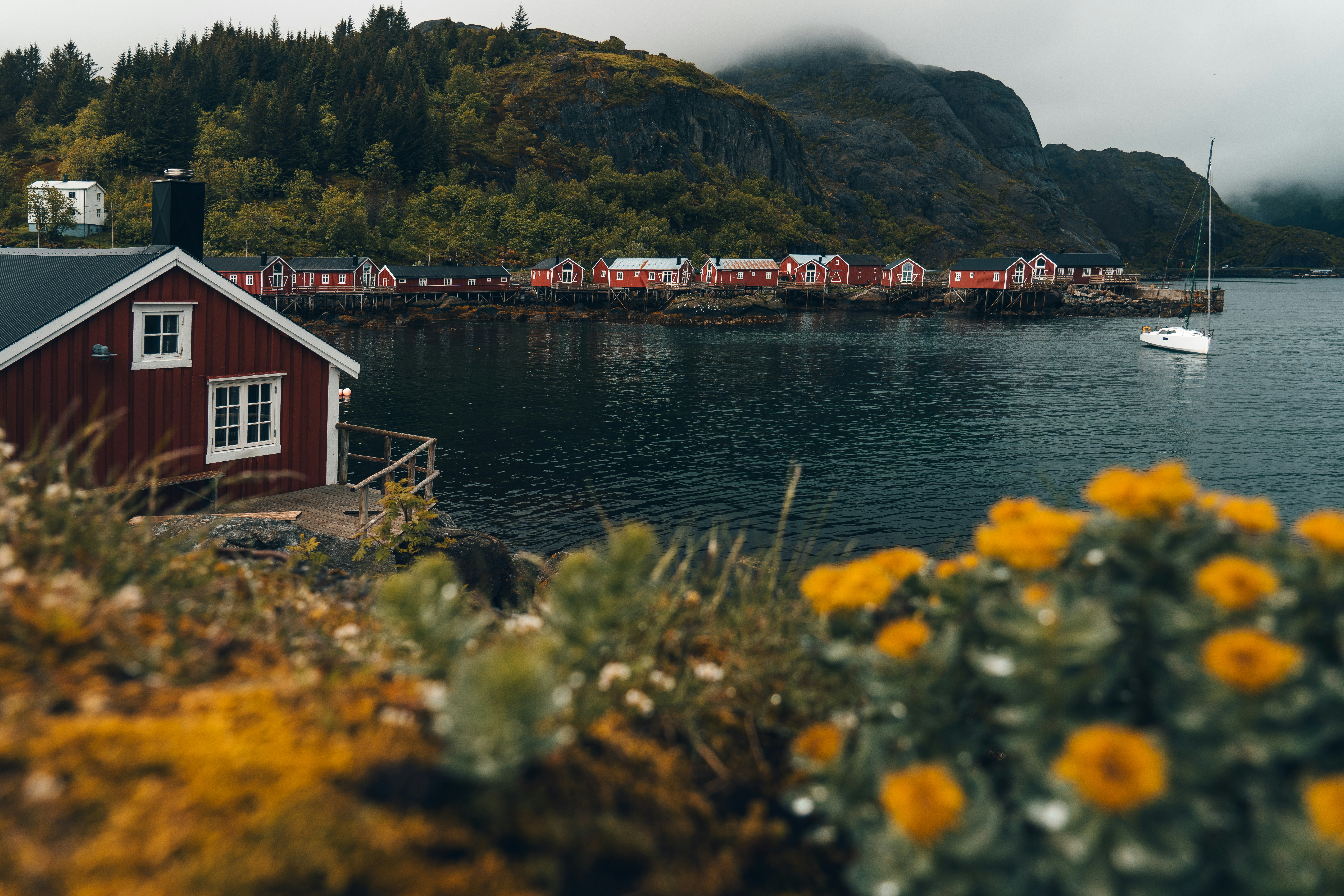 Des maisons rouges bordent une baie calme avec des montagnes derrière ...