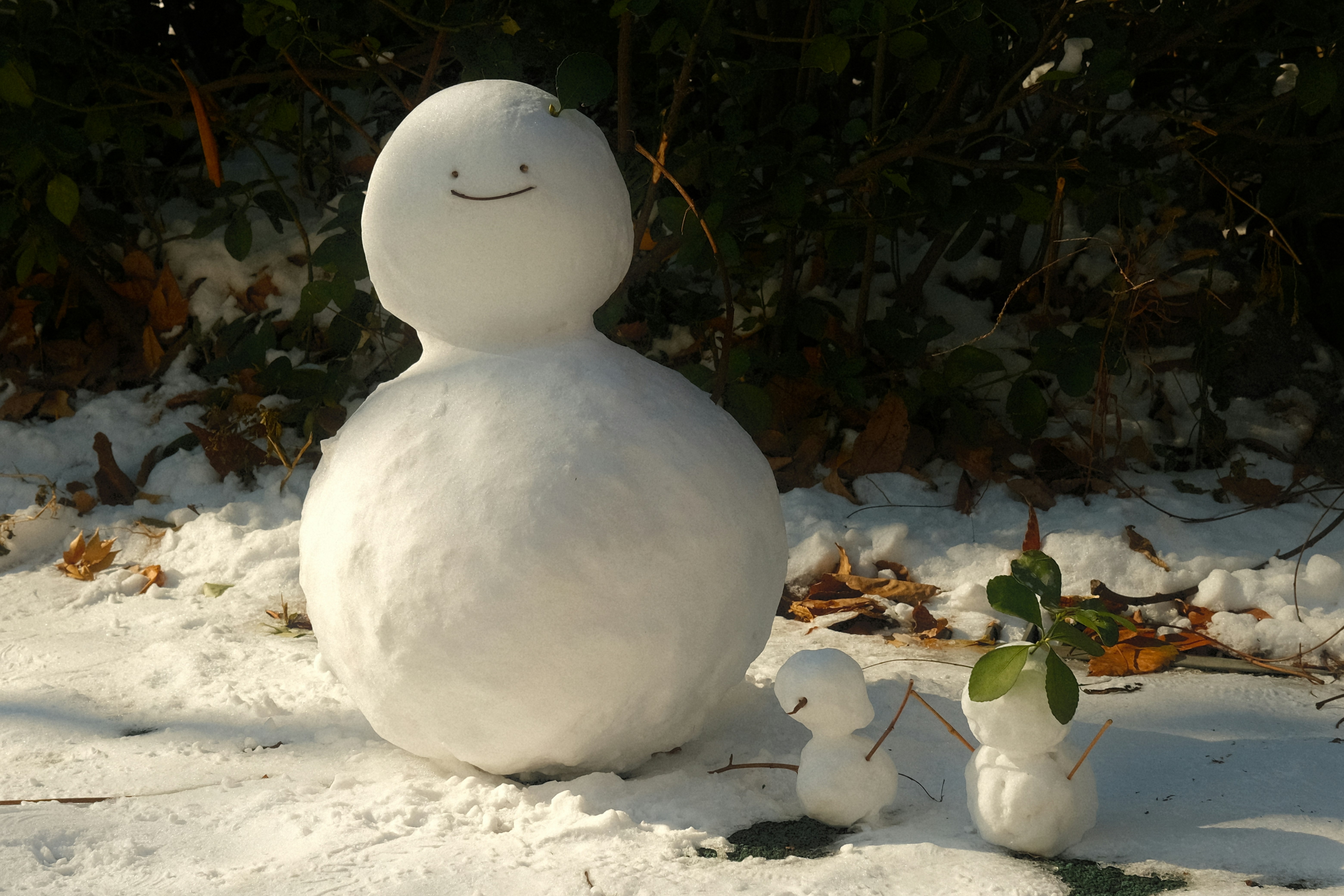 Snowman Duo: A Whimsical Pair in a Frosted Garden