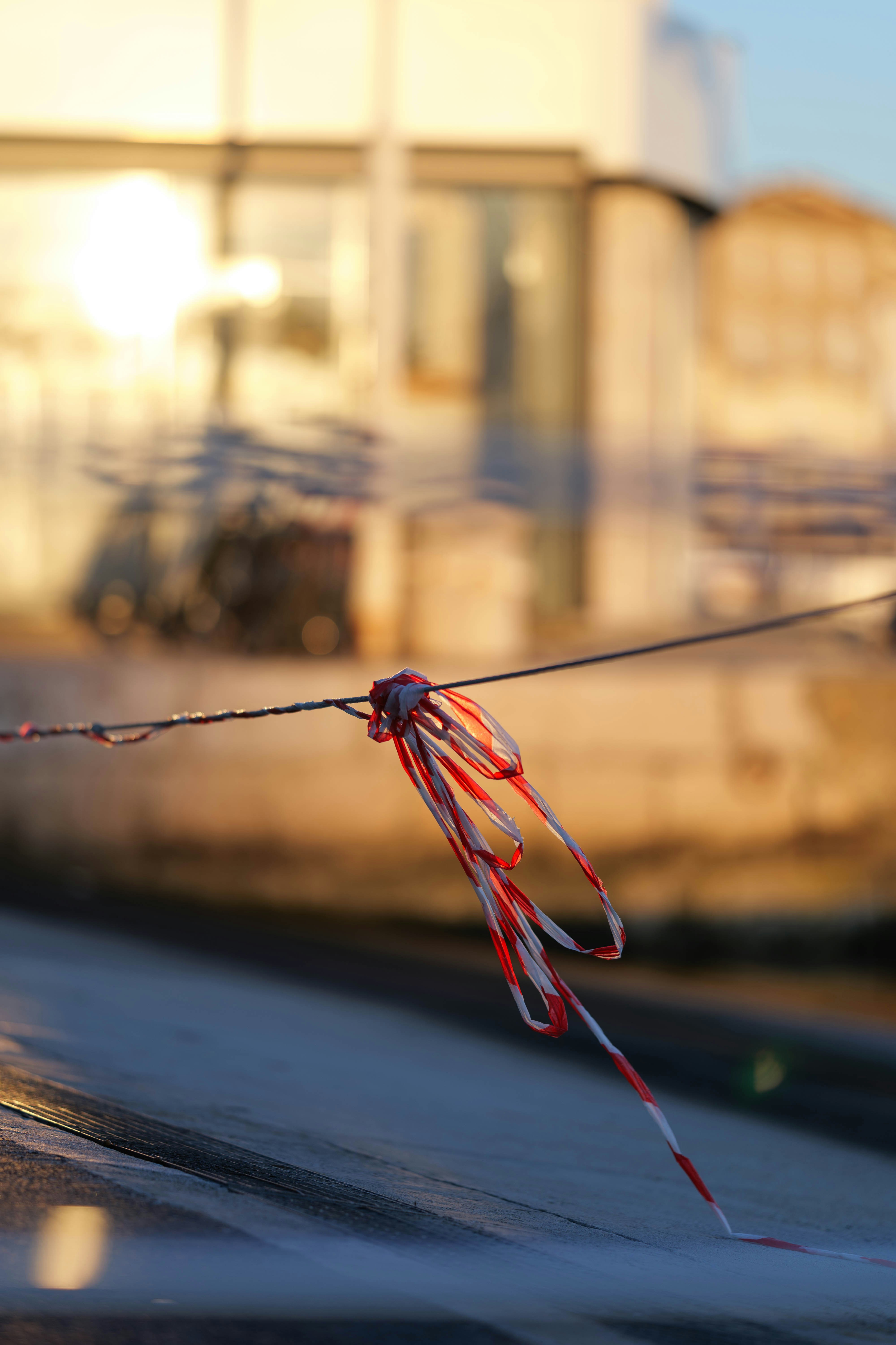 Tethered Thread: A Scarlet Ribbon Framed by Golden Hour Echoes