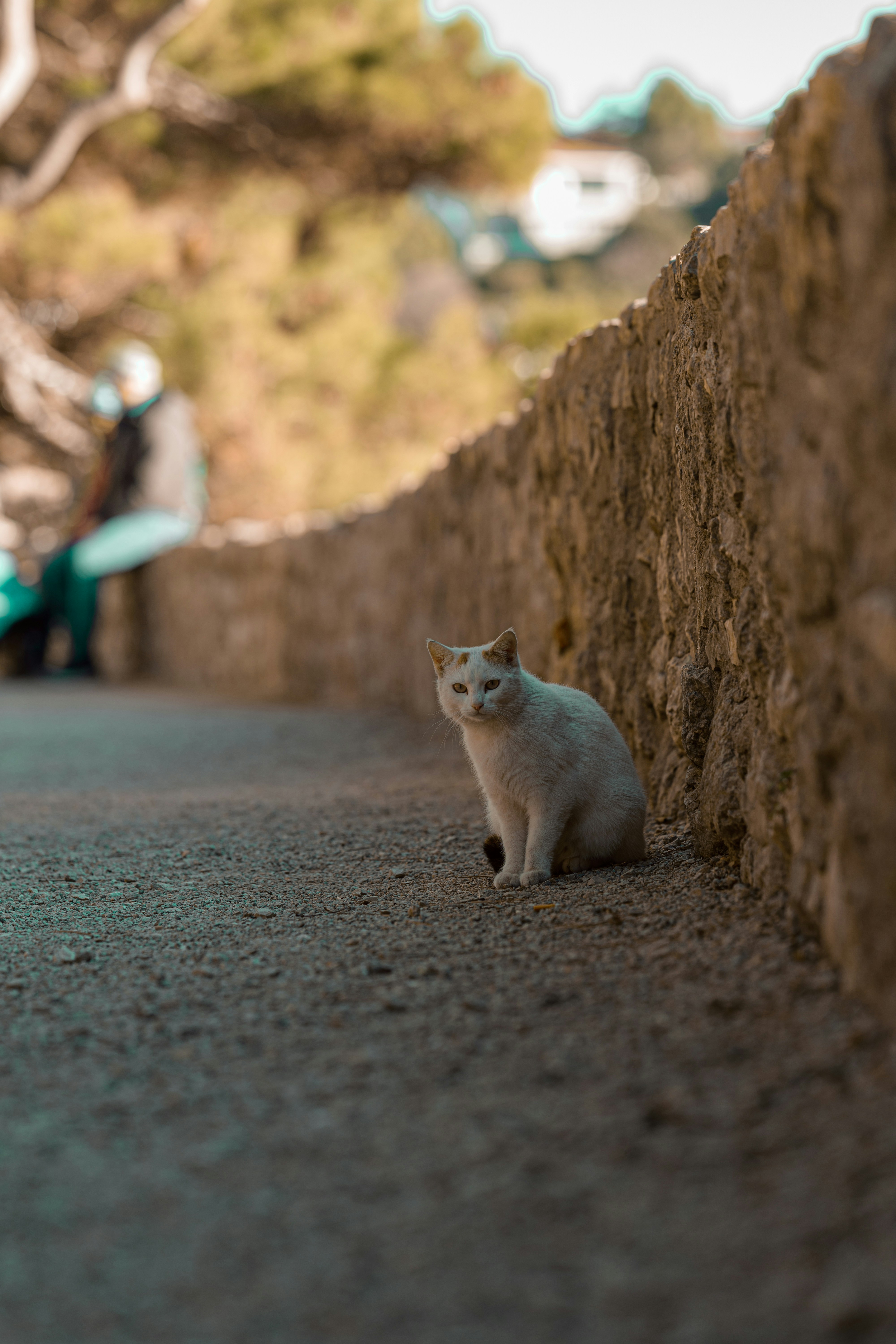 Photo by CS J0ke with Panasonic Lumix S9