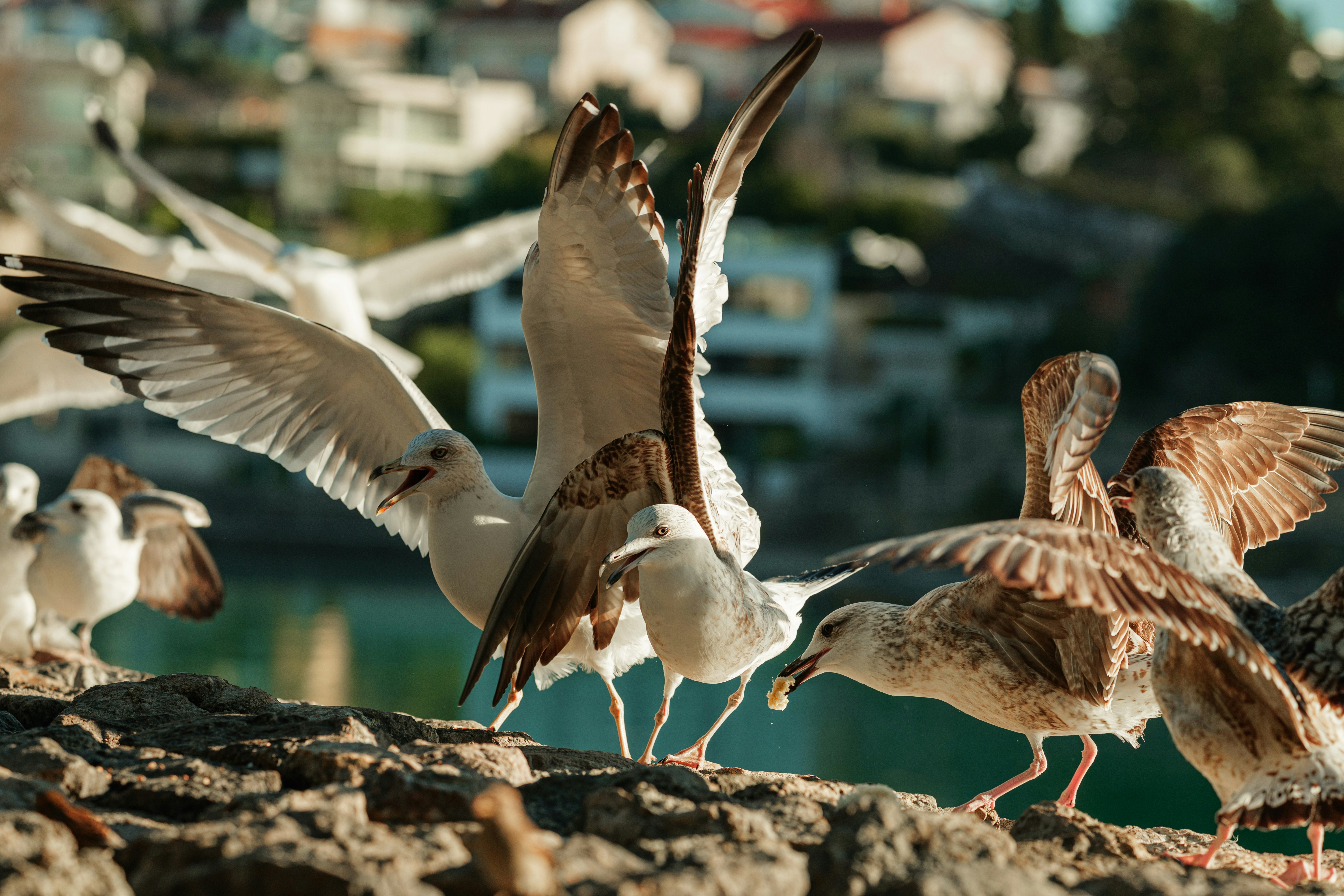 Photo by CS J0ke with Panasonic Lumix S9