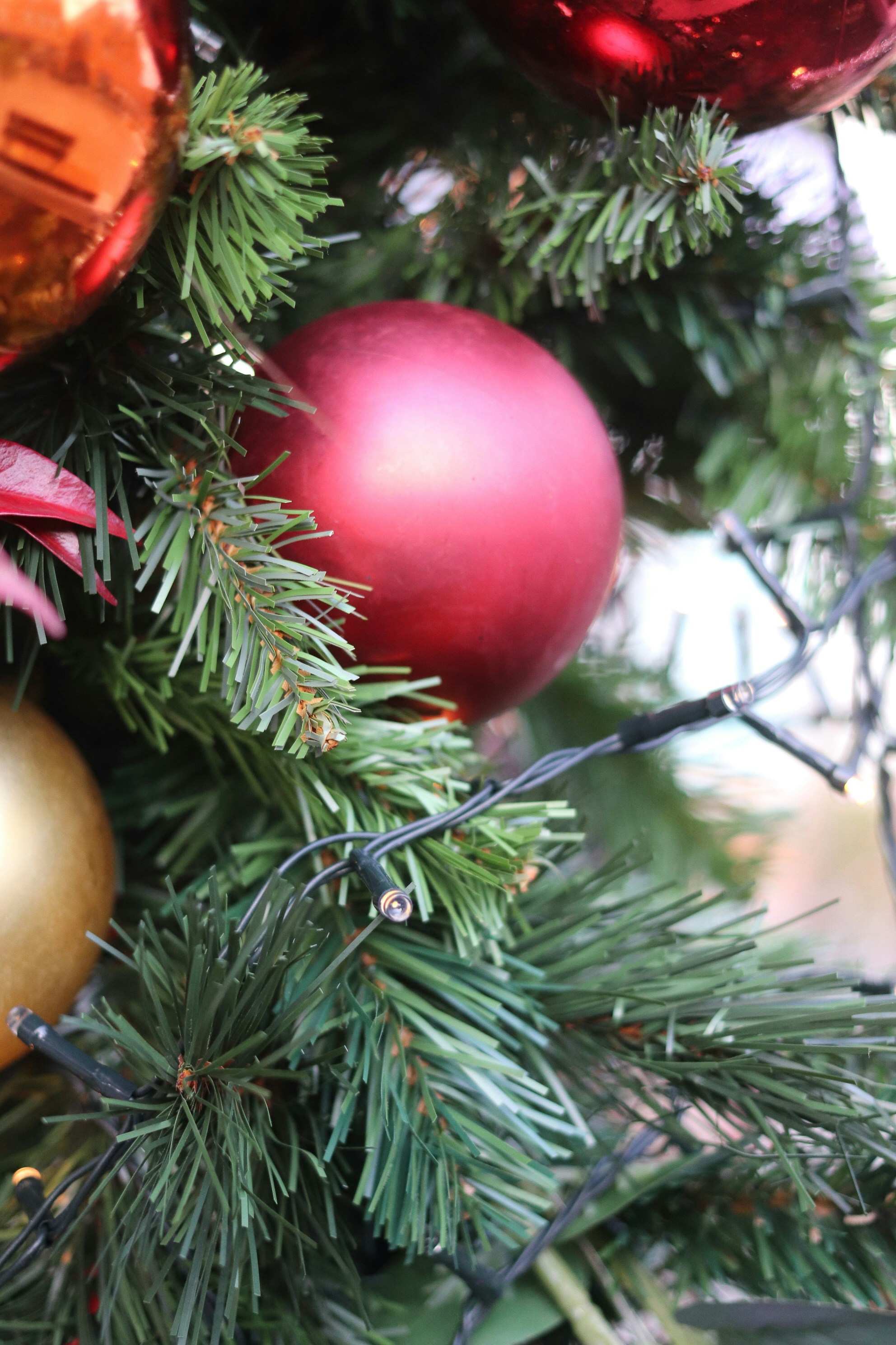 Photo by Tanya Barrow with Canon EOS 77D