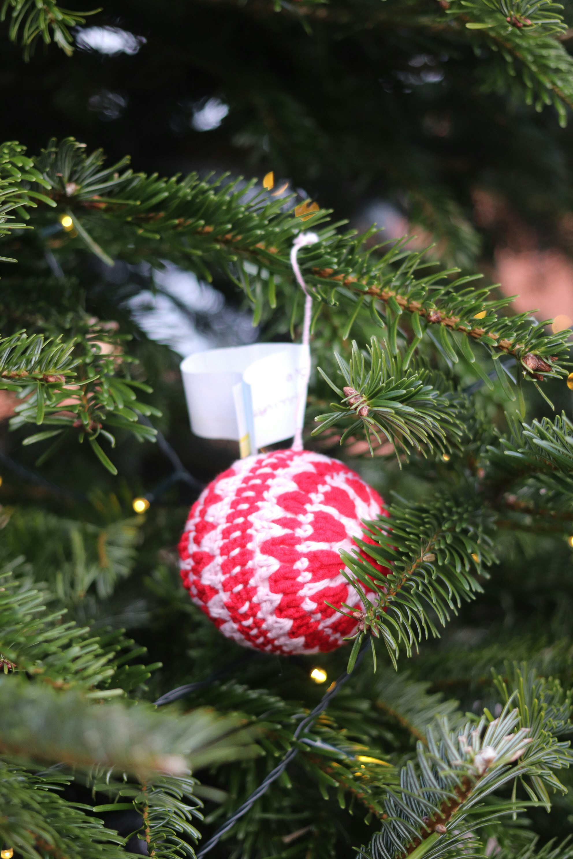 Red-and-White Christmas Ornament Nestled in Pine Needles