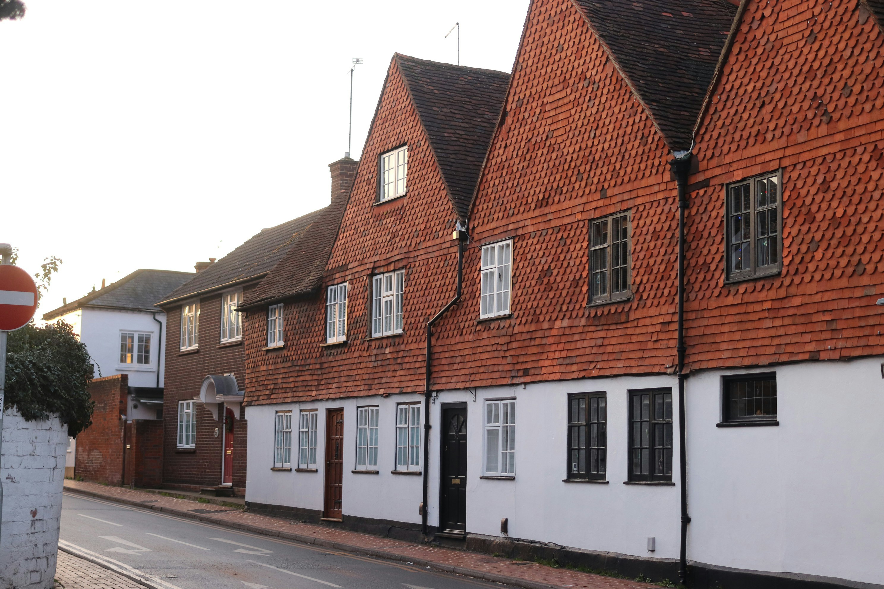 Photo by Tanya Barrow with Canon EOS 77D