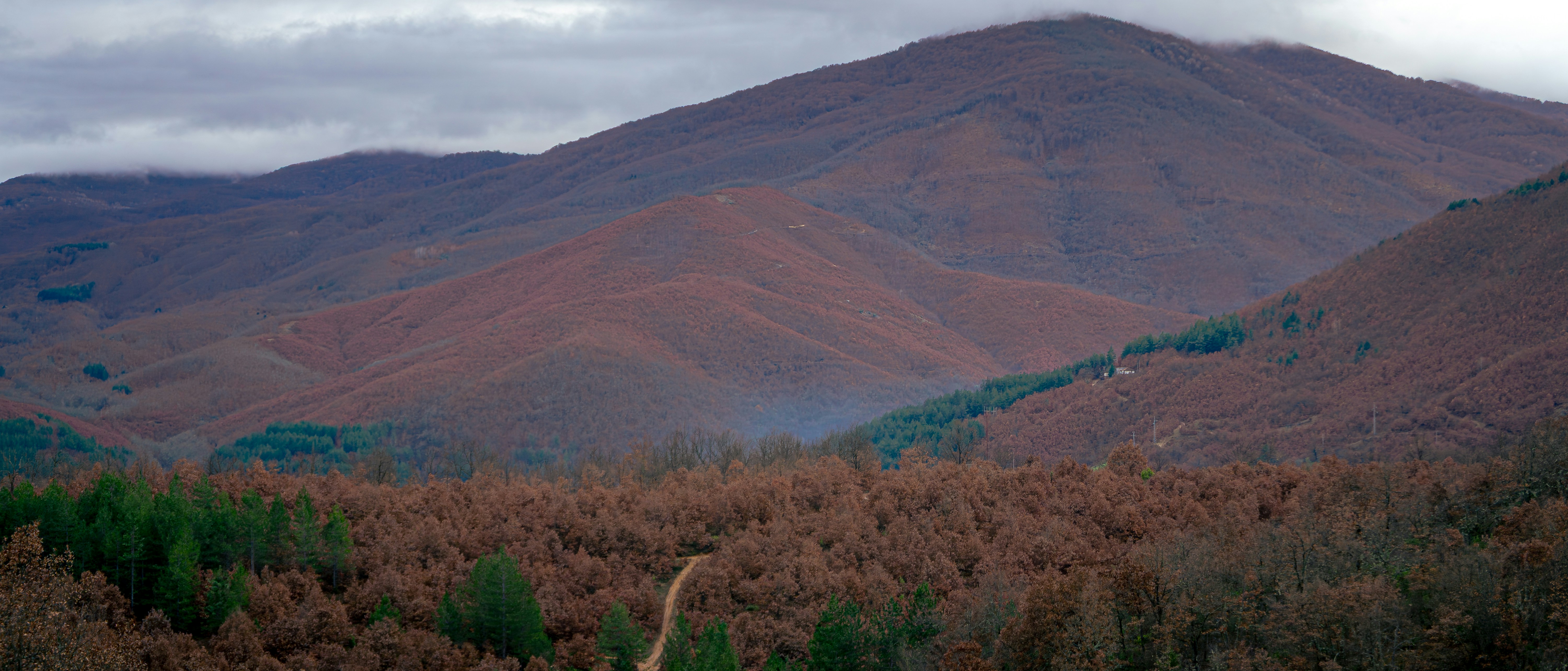Autumn Ridge: Nebulous Hills Drifting Into Haze