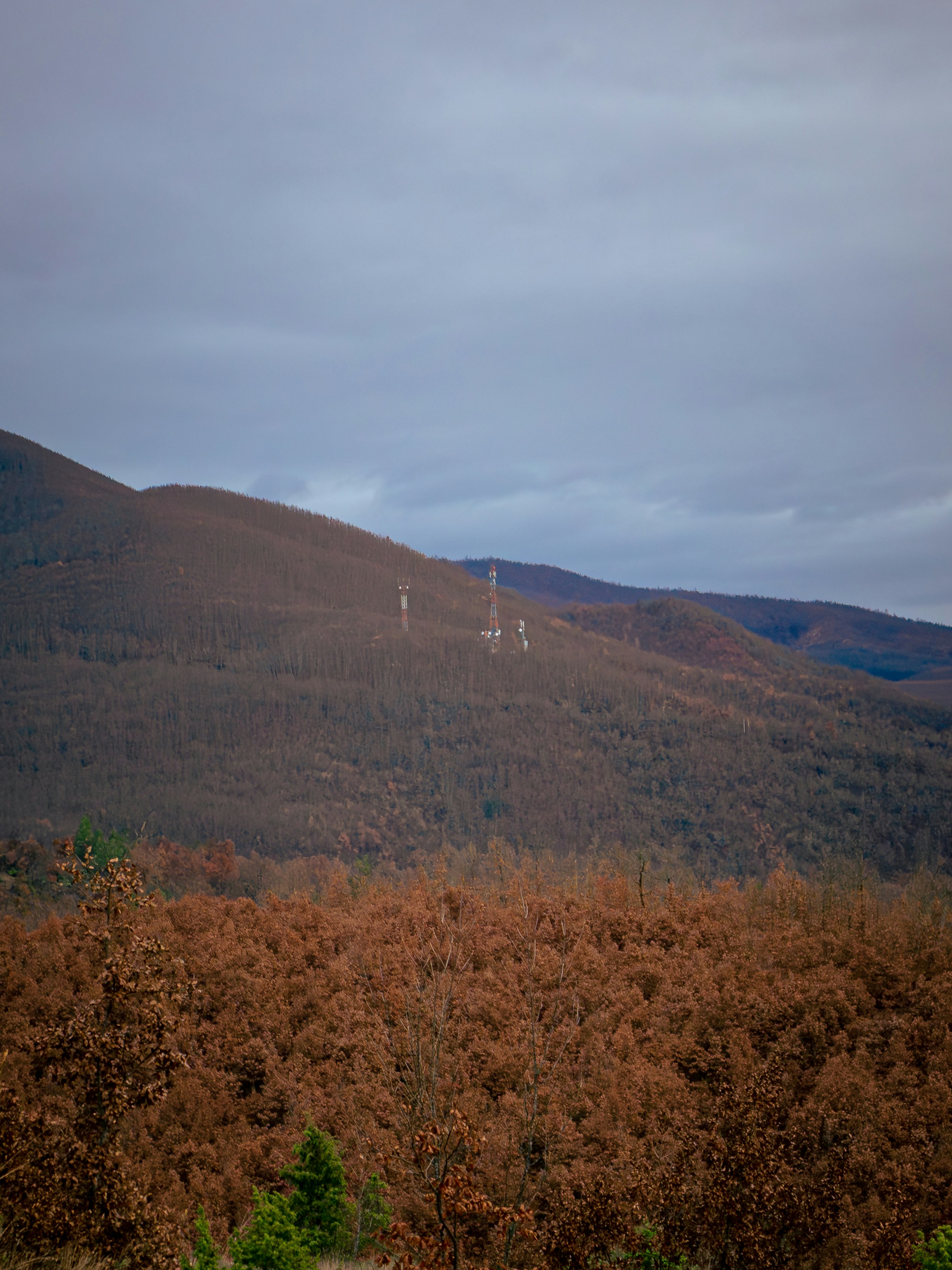 Telecom Towers Nestled in Autumn Slopes